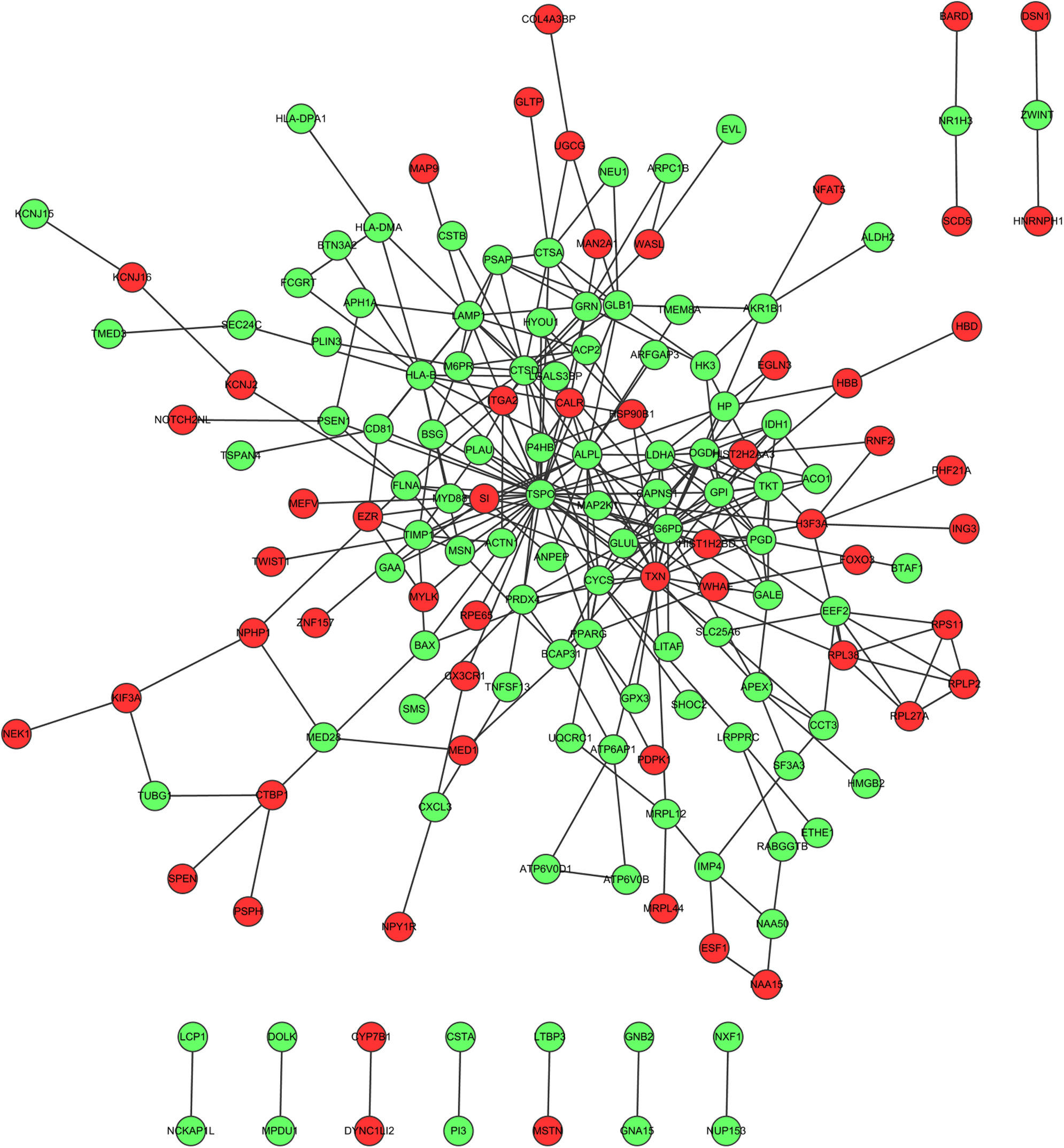 Protein–protein interaction network analysis and identifying regulation ...