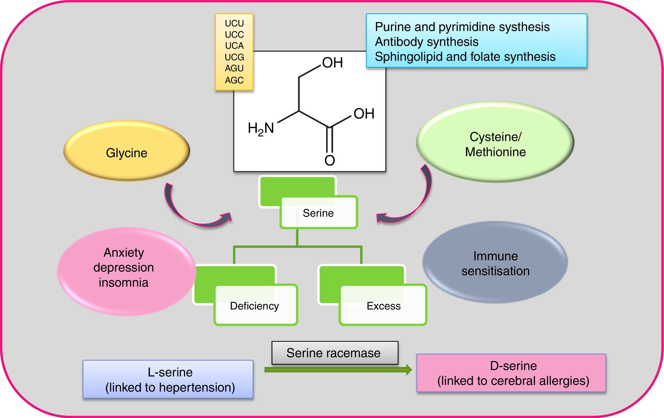 A critical review on serine protease: Key immune manipulator and ...