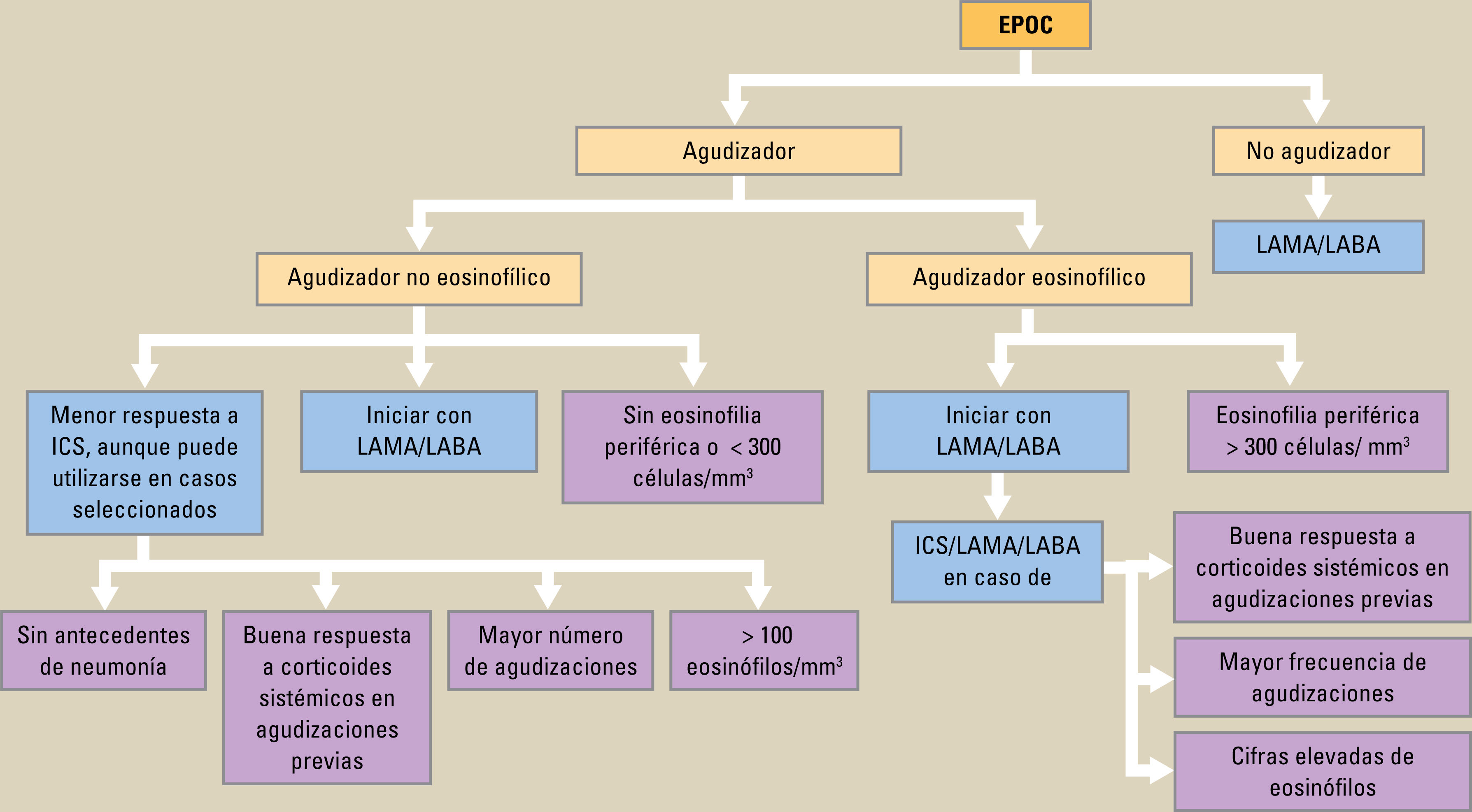 Protocolo diagnóstico y terapéutico de la enfermedad pulmonar obstructiva crónica - Medicine