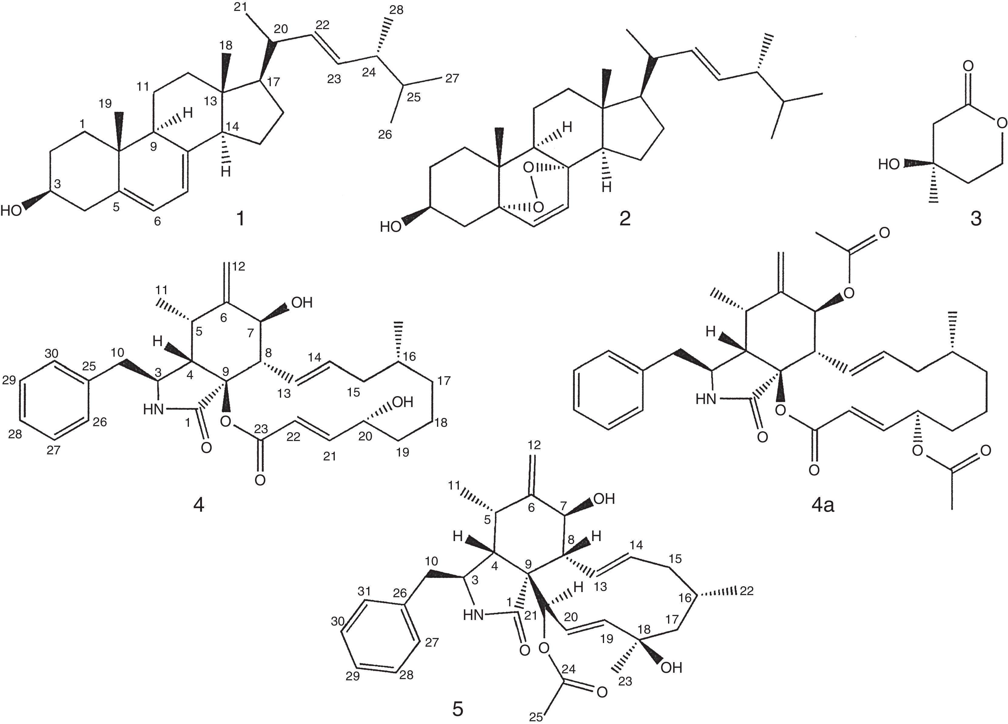 Lethality of cytochalasin B and other compounds isolated from fungus ...