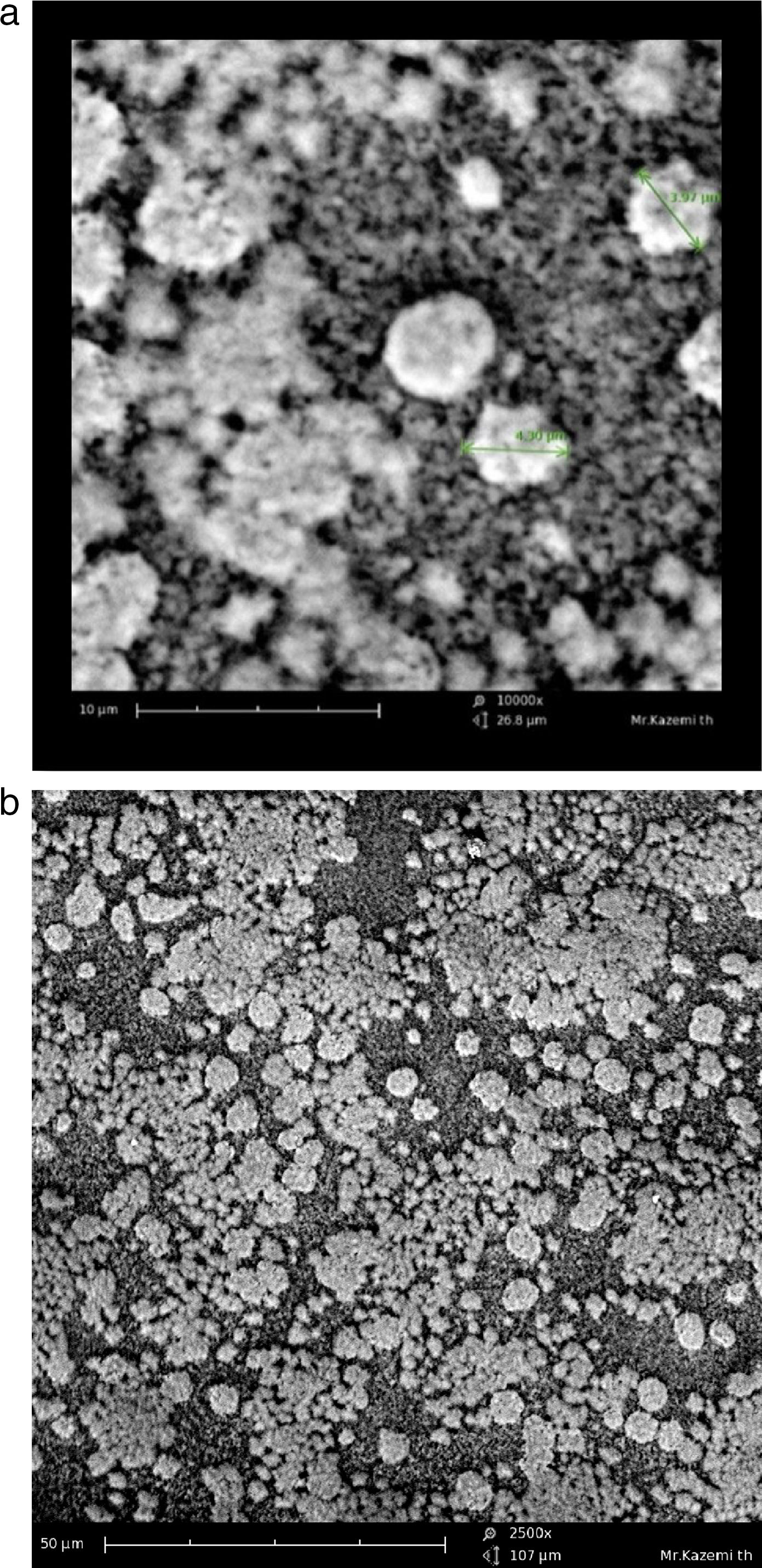 thermoacidophiles comes under