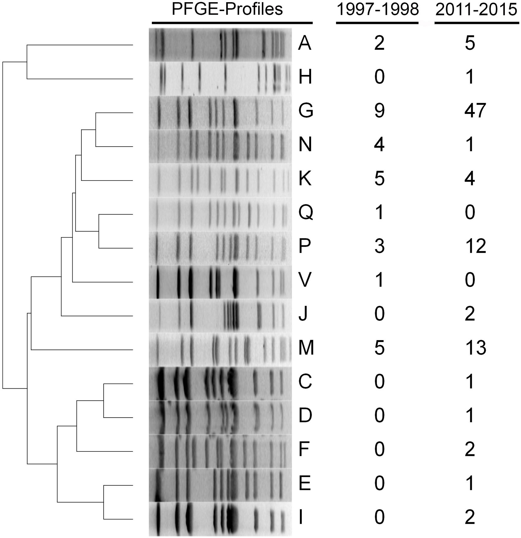 Laboratory surveillance of invasive Haemophilus influenzae disease in ...