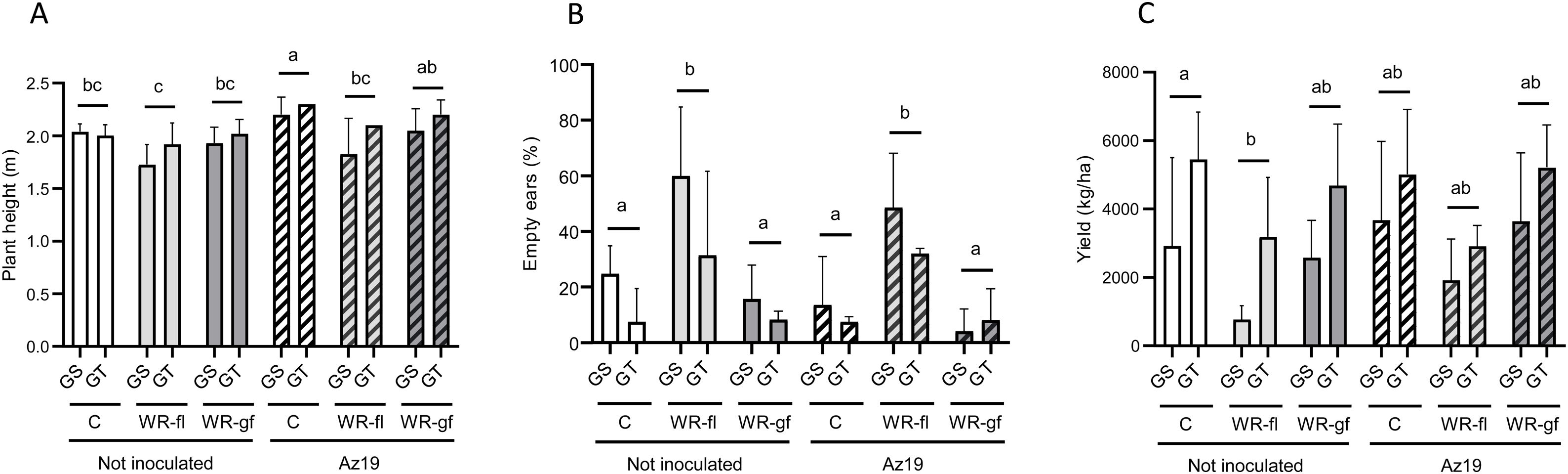 Inoculation with Azospirillum argentinense Az19 improves the yield of ...