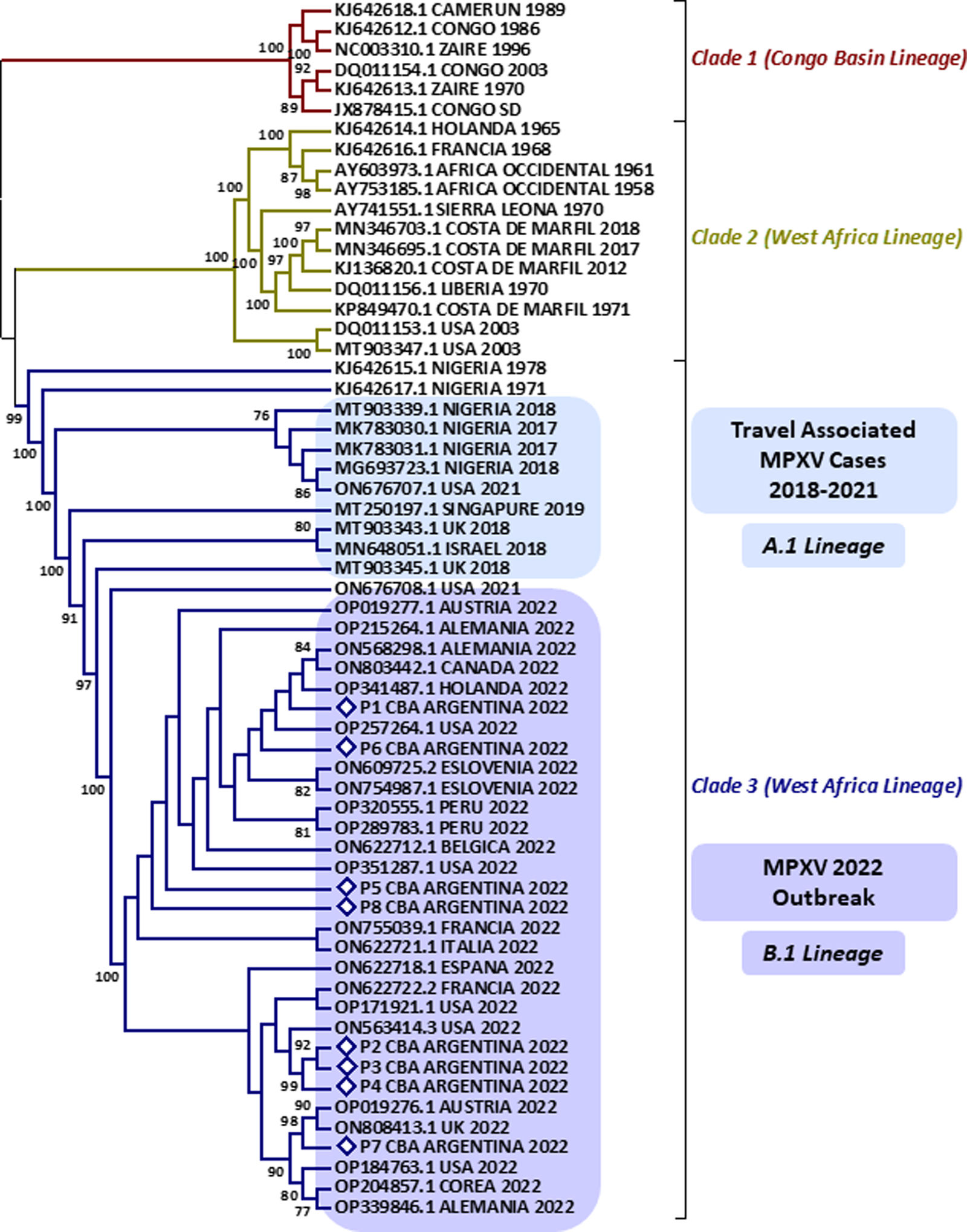 Emergence of monkeypox virus in central Argentina: Epidemiological ...