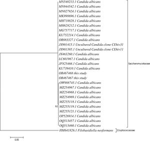 Identification of Candida species from fecal samples of pigeons in ...