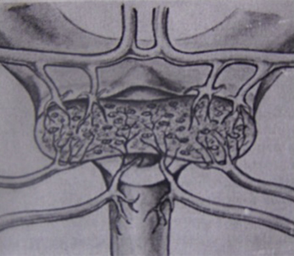 El quiasma óptico y su apasionante estudio a través de veinte siglos ...