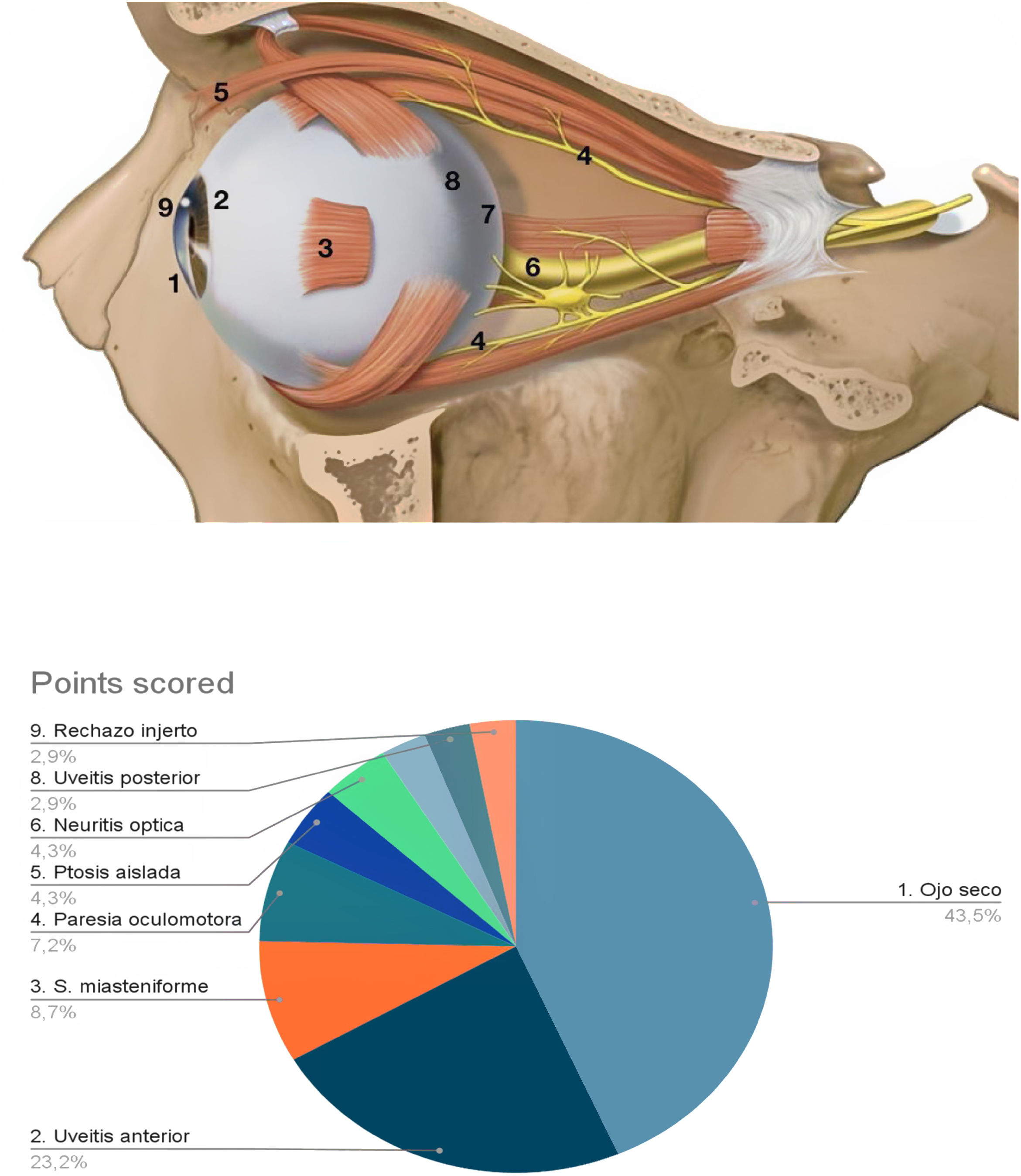 Afectación iatrogénica de la motilidad ocular por fármacos antitumorales inhibidores de los ...