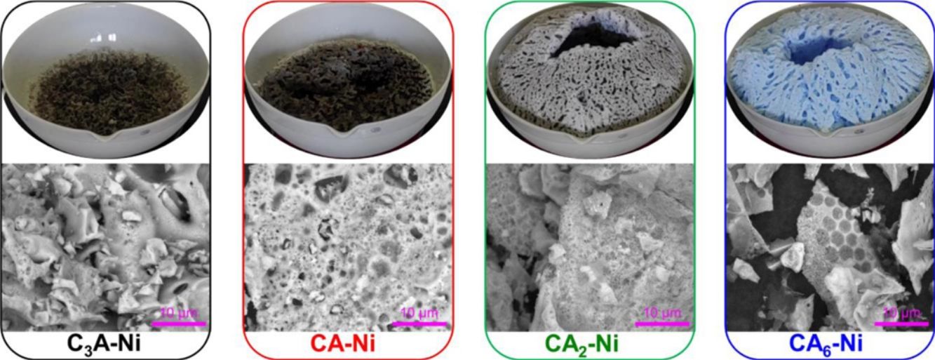 Influence of the host lattice on the blue color development in Ni2 ...