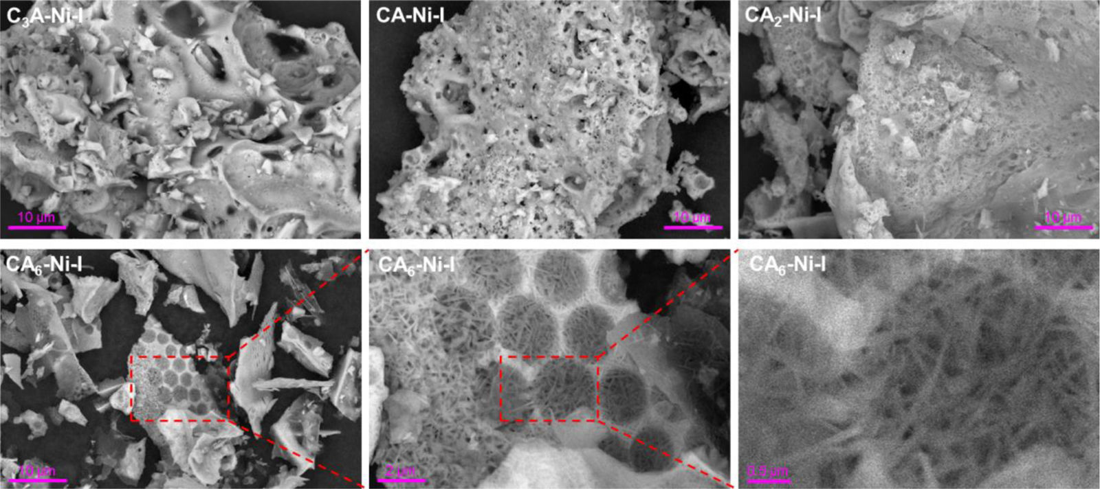 Influence of the host lattice on the blue color development in Ni2 ...