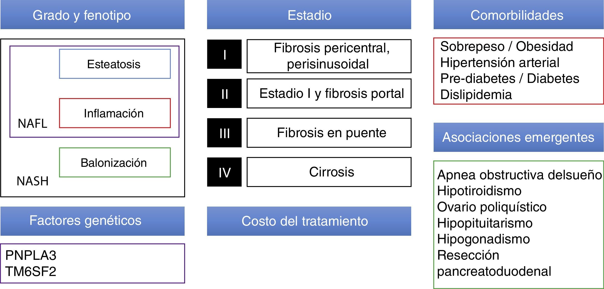 Tratamiento actual de la enfermedad por hígado graso no alcohólico ...