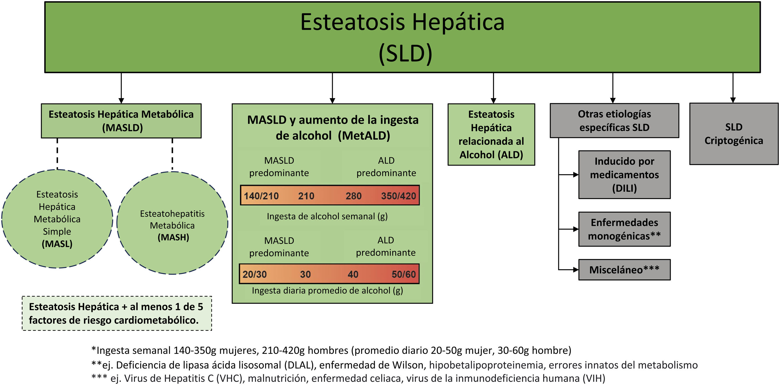 La nueva nomenclatura de esteatosis hepática. ¡No más NAFLD! | Revista ...