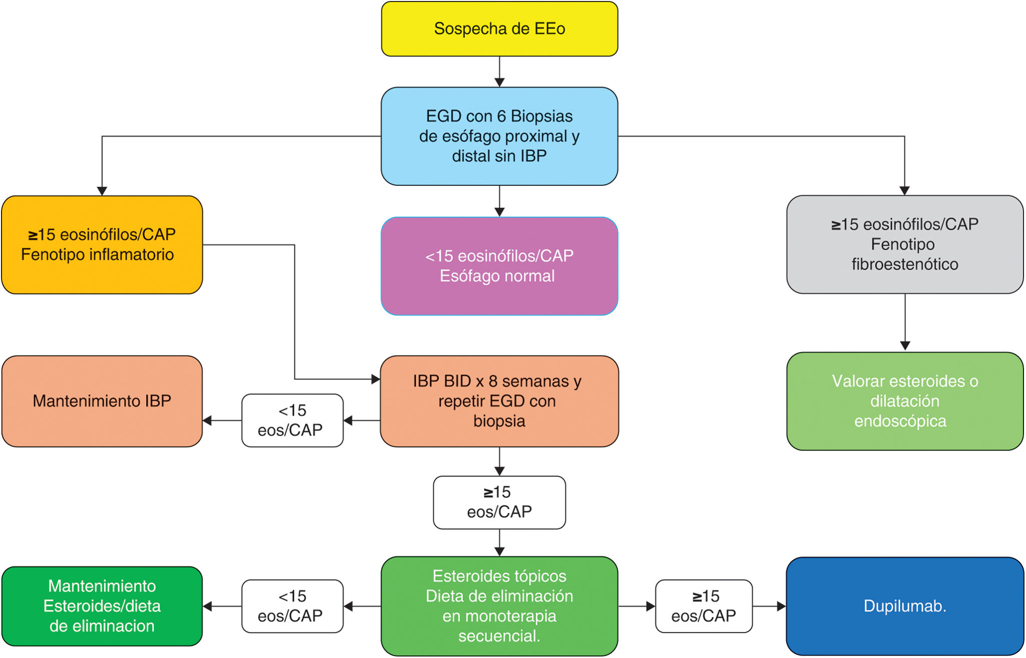 La esofagitis eosinofílica. Conceptos actuales de la fisiopatología ...