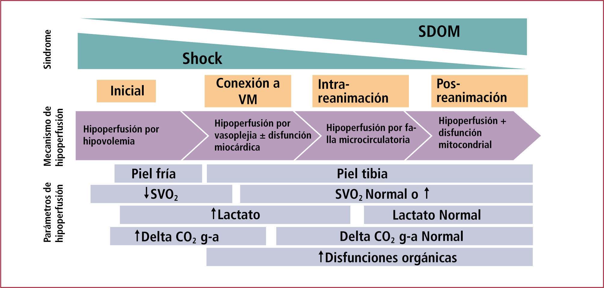 Manejo del paciente en shock séptico | Revista Médica Clínica Las Condes