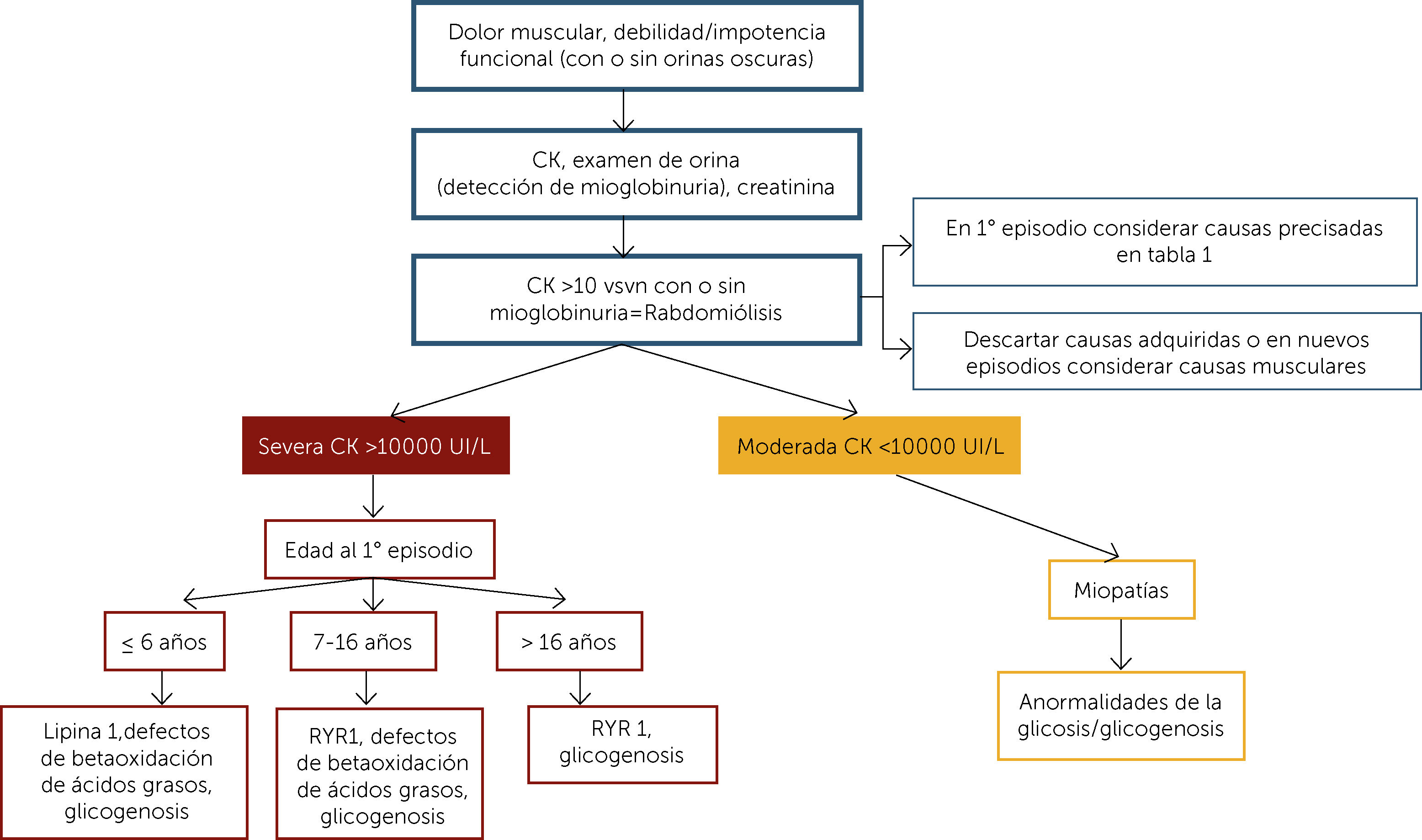 Rabdomiólisis Metabólica Actualización Revista Médica Clínica Las Condes