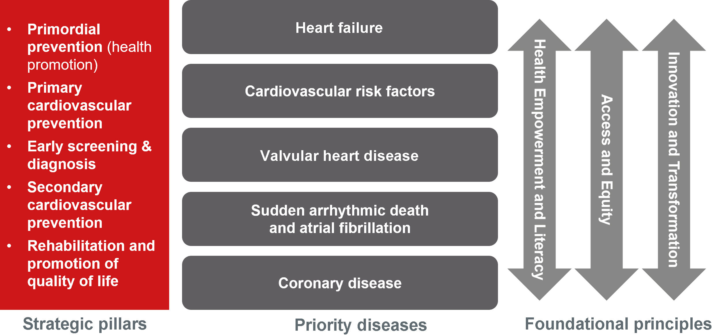 Strategic Plan for Cardiovascular Health in Portugal – Portuguese ...