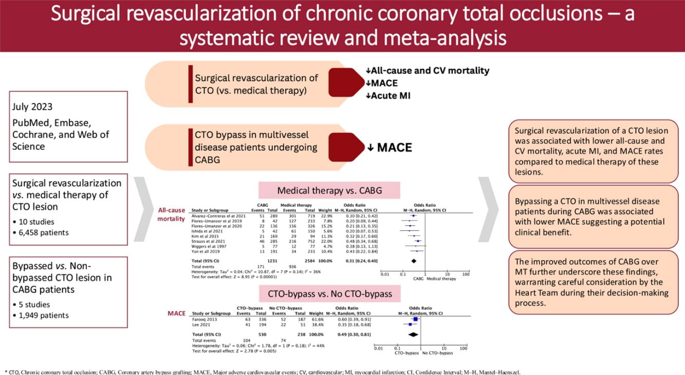 Surgical revascularization of chronic coronary total occlusions – A ...