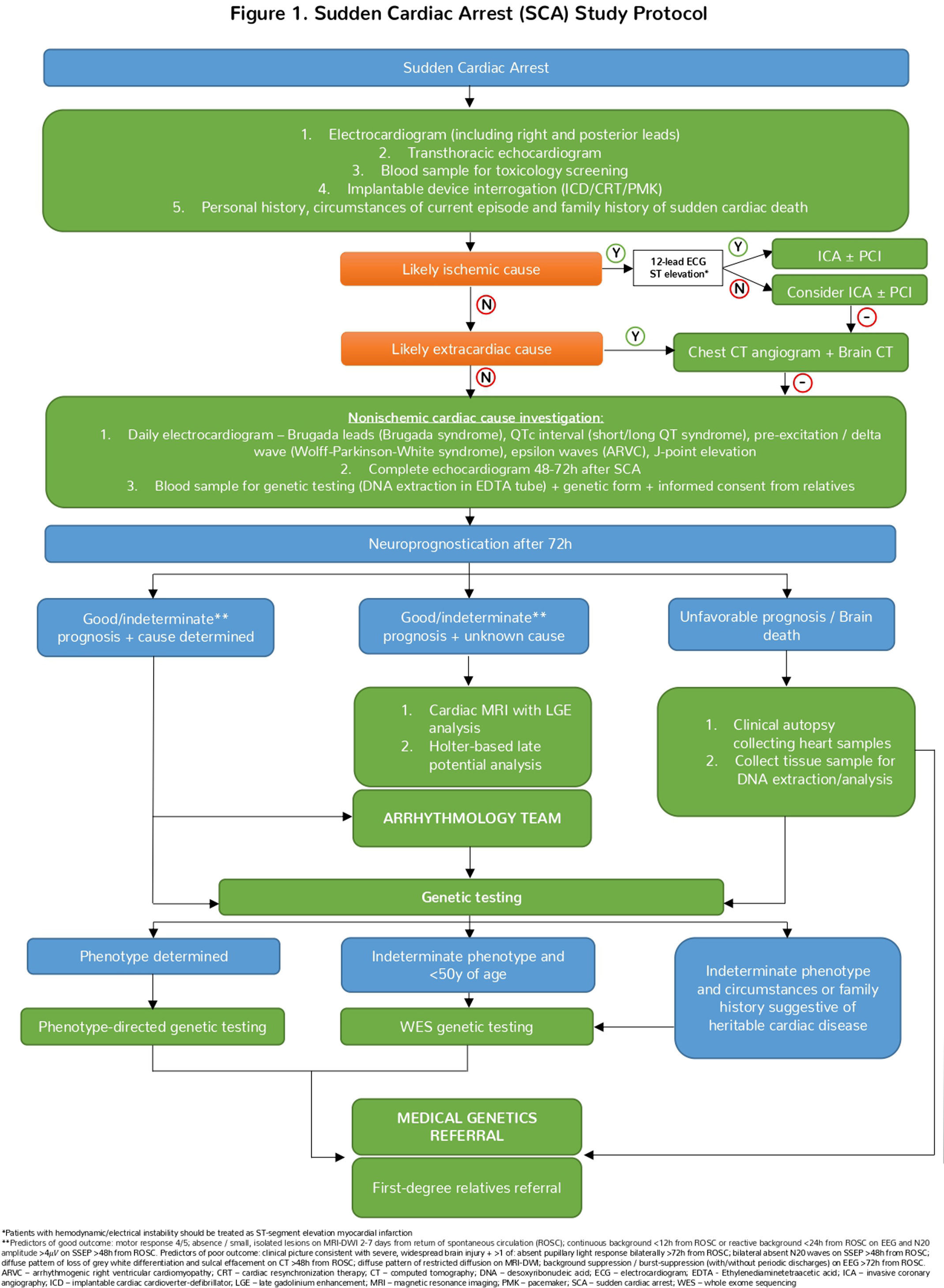 Etiology of sudden cardiac arrest: Literature review and proposal for ...