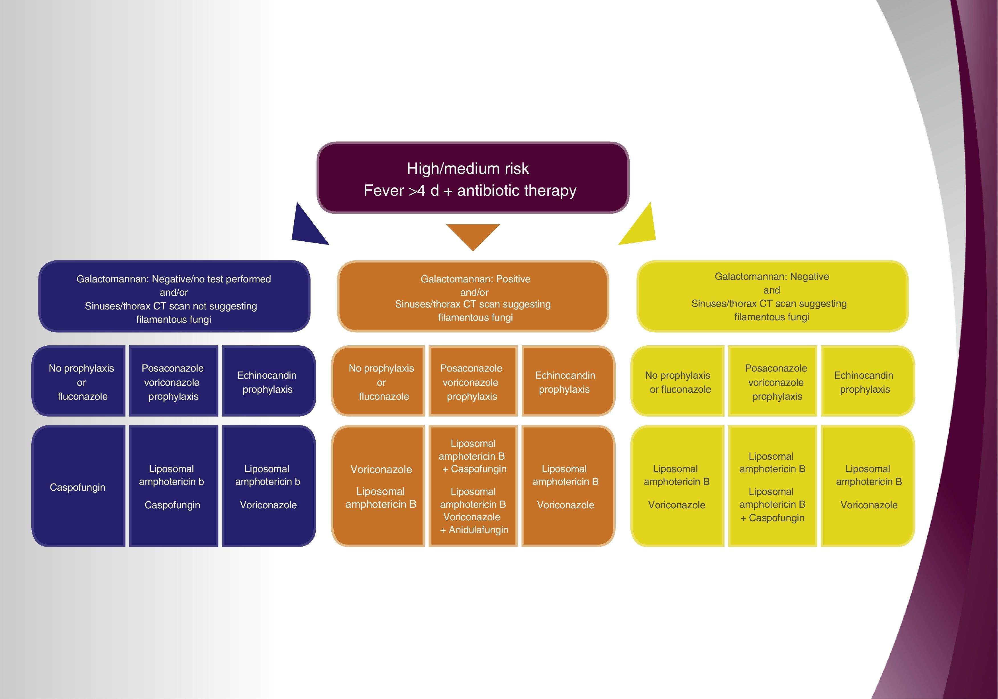 EPICO 3.0. Empirical antifungal therapy in critically-ill hematology ...