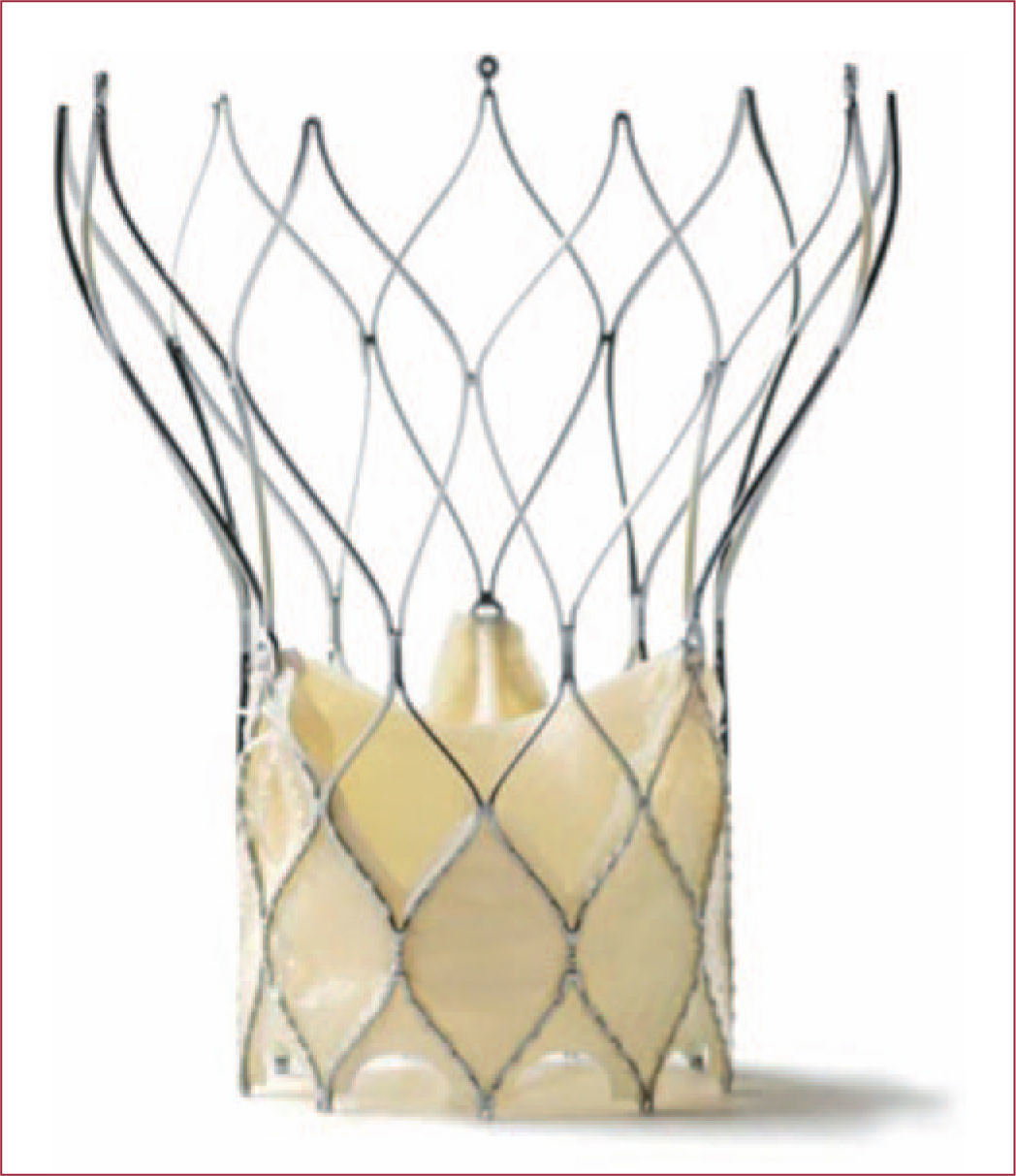 ¿Son iguales todas las prótesis? ¿Prótesis diferentes para indicaciones ...