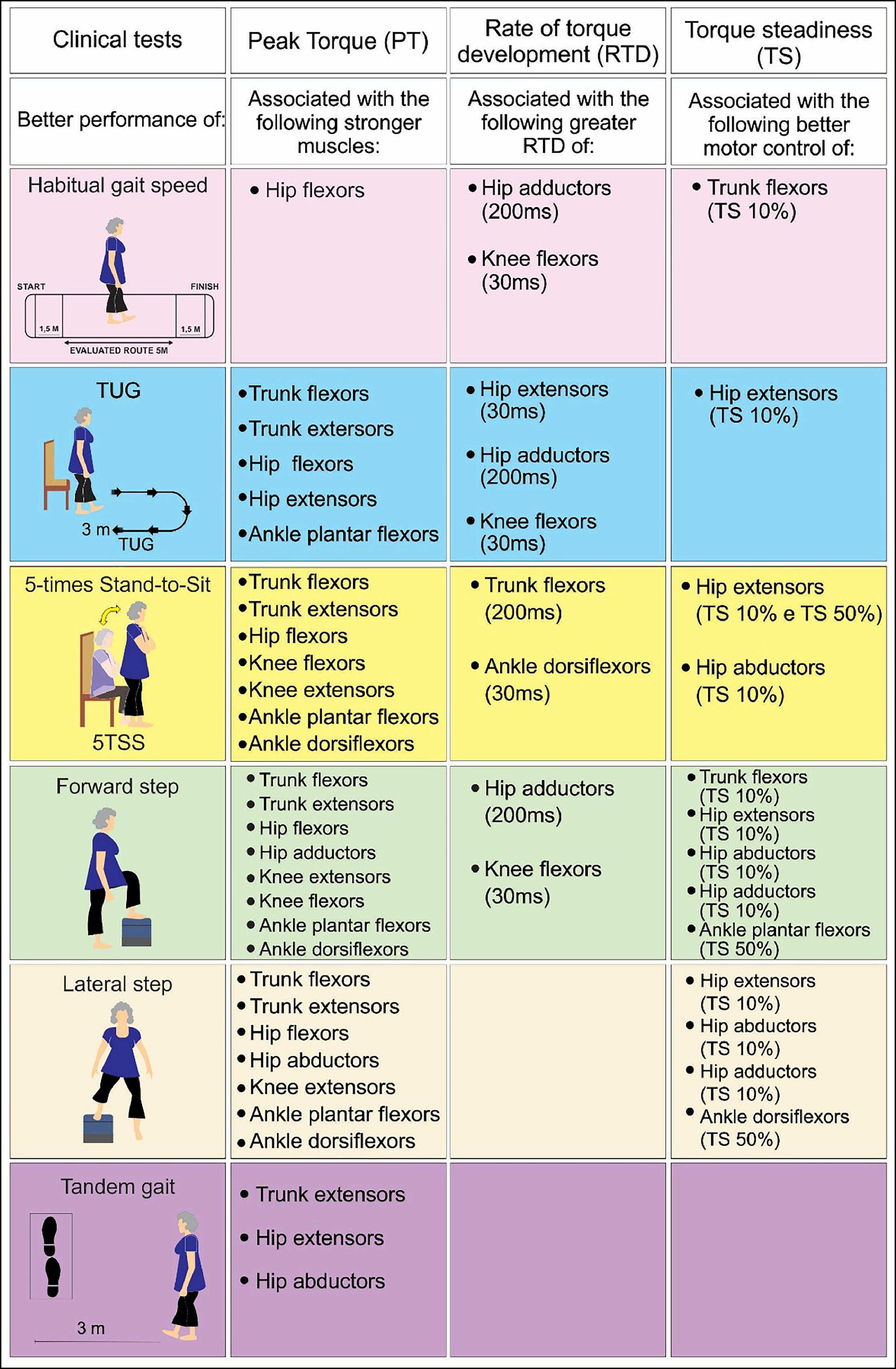 Conceptual framework for the associations between trunk and lower limb ...