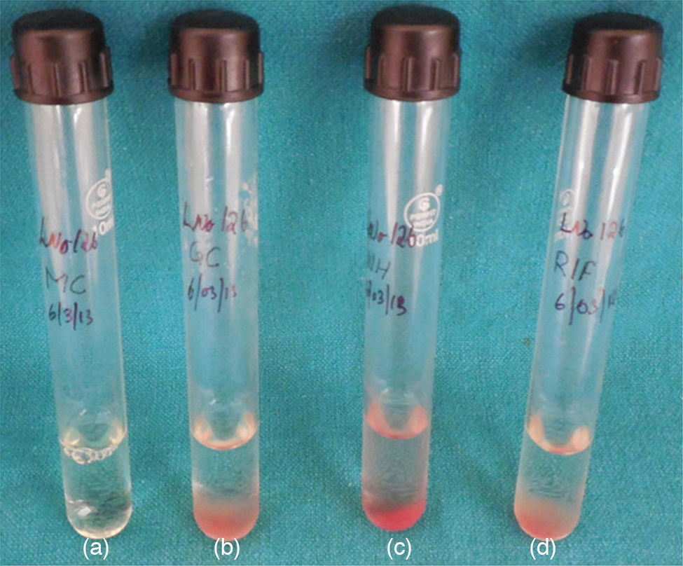 Isoniazid and rifampin drug susceptibility testing: application of 2,3 ...