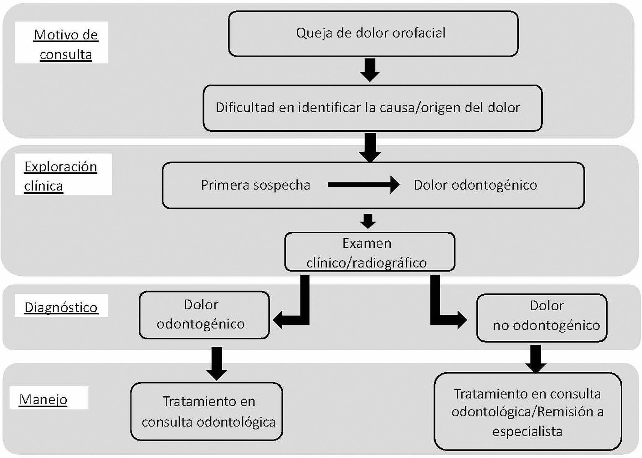 Claves para el diagnóstico diferencial del dolor odontogénico mediante ...