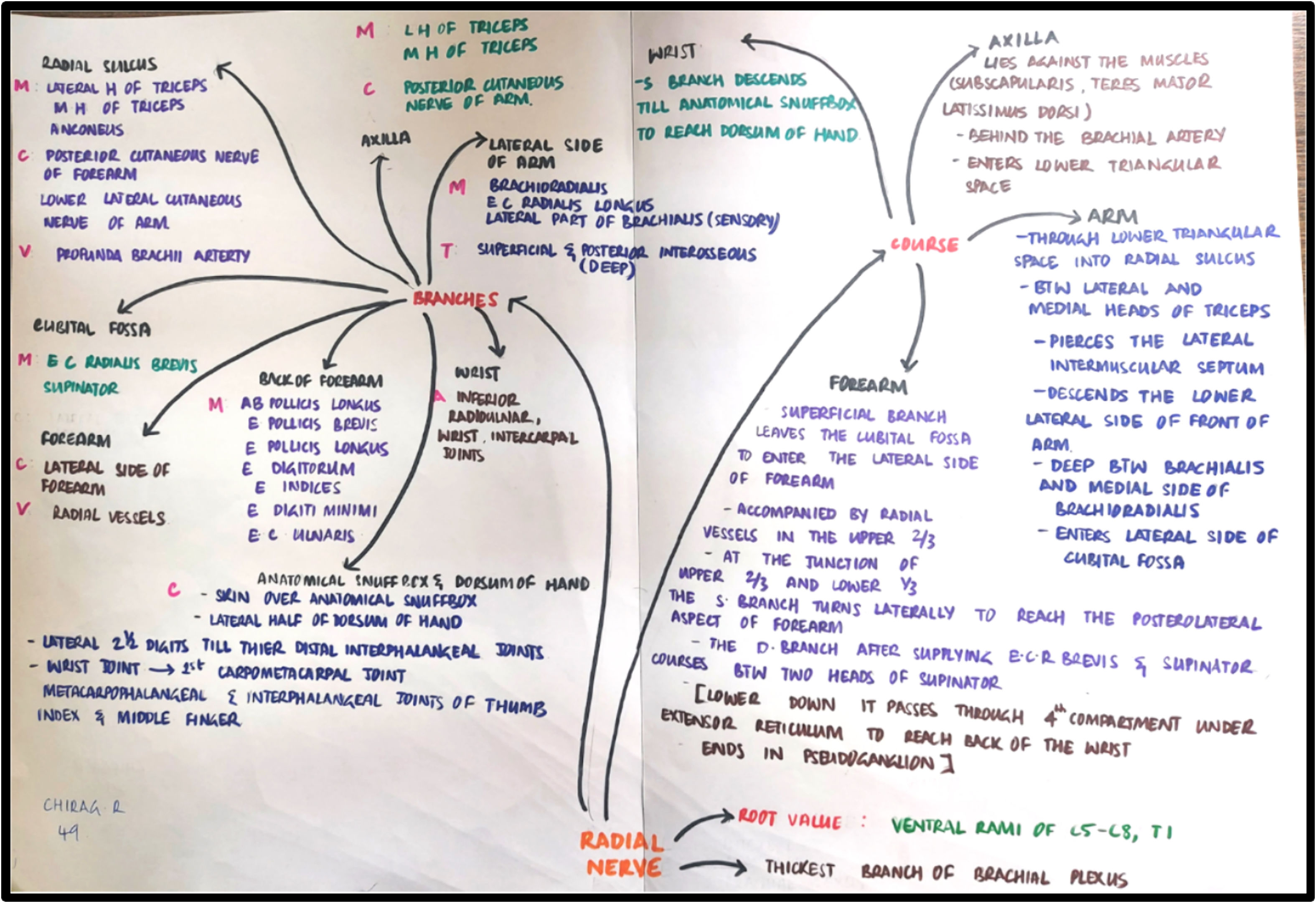 Enhancing anatomy learning: A concept map-based approach for first-term ...