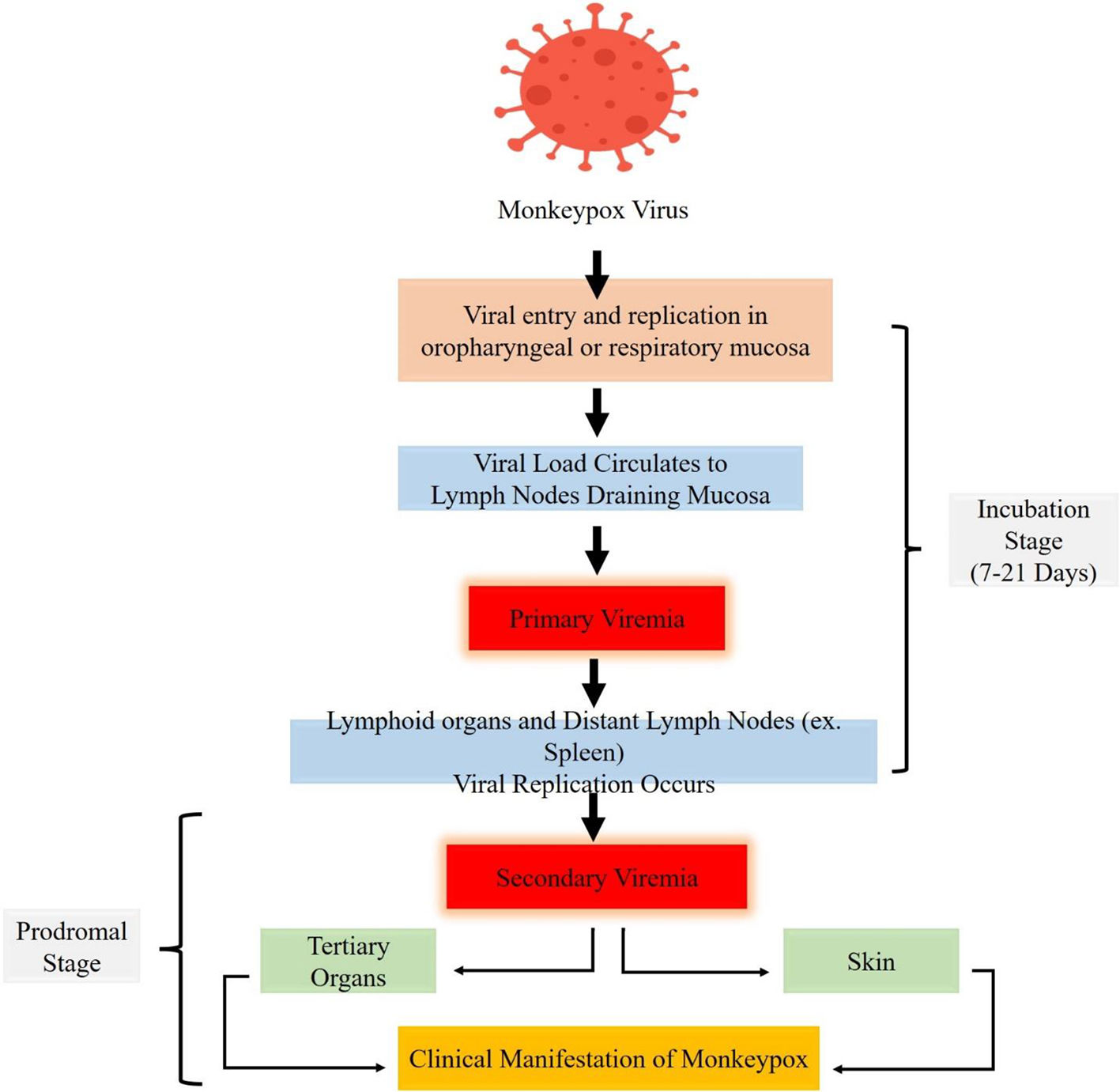 The global spread of human monkeypox virus: Challenges and ...