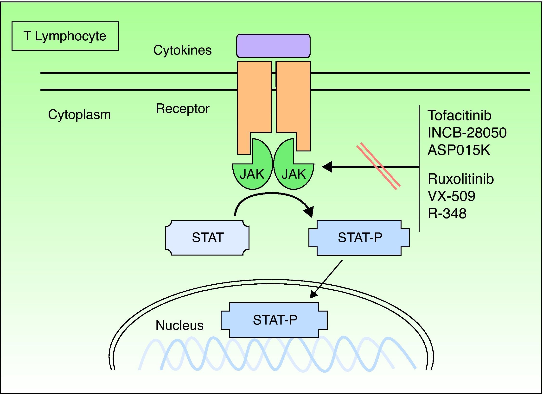 Tofacitinib and Other Kinase Inhibitors in the Treatment of Psoriasis ...