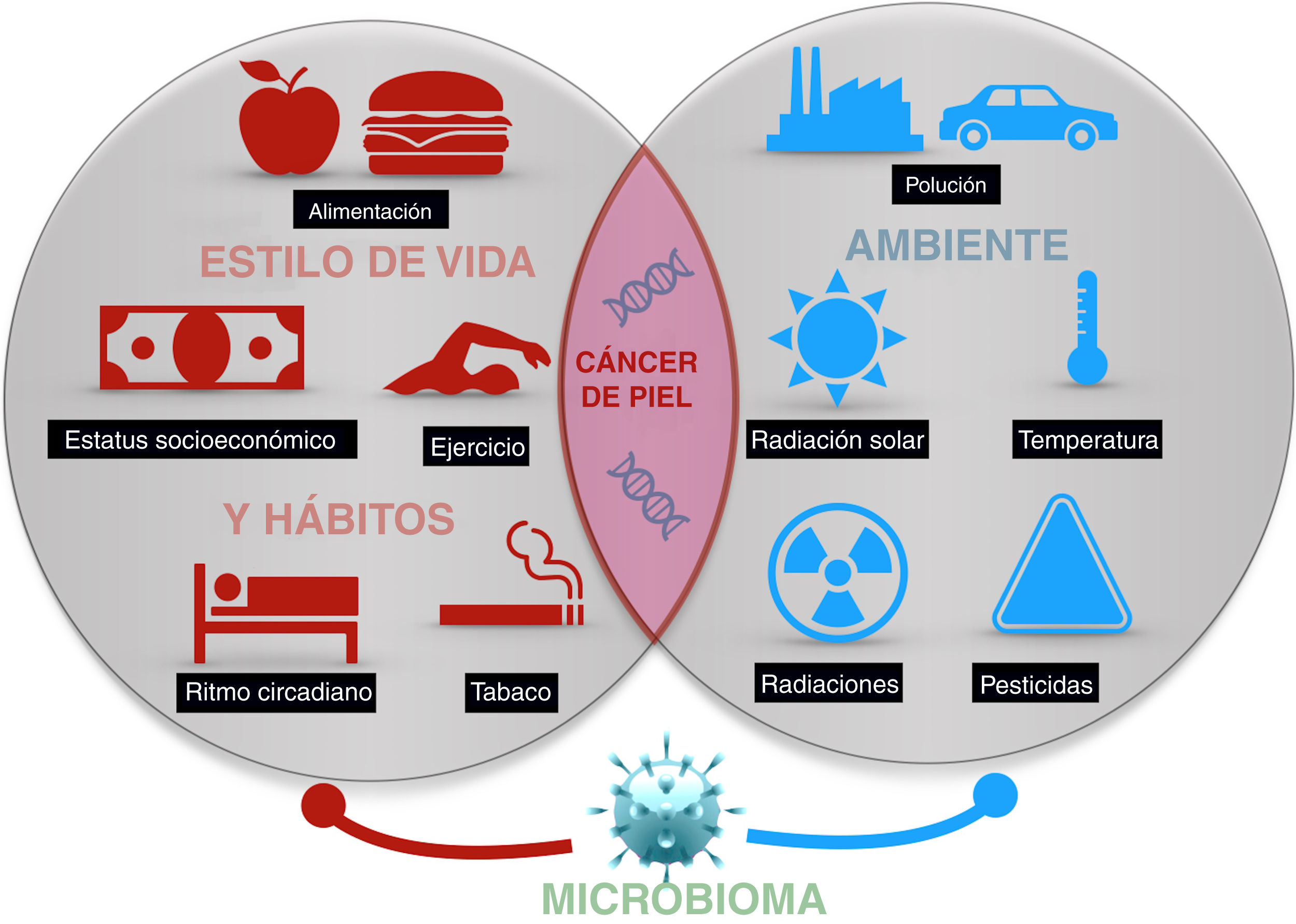 Influence of the Exposome on Skin Cancer | Actas Dermo-Sifiliográficas