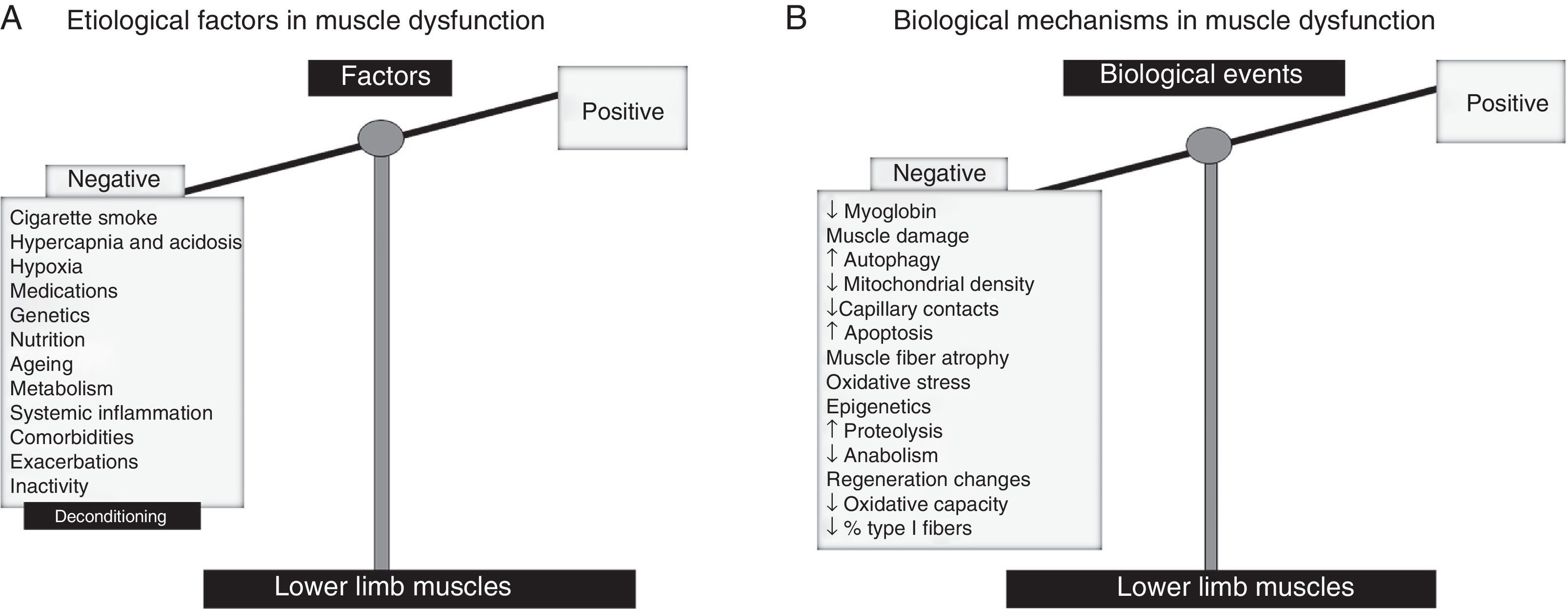 Guidelines for the Evaluation and Treatment of Muscle Dysfunction in ...