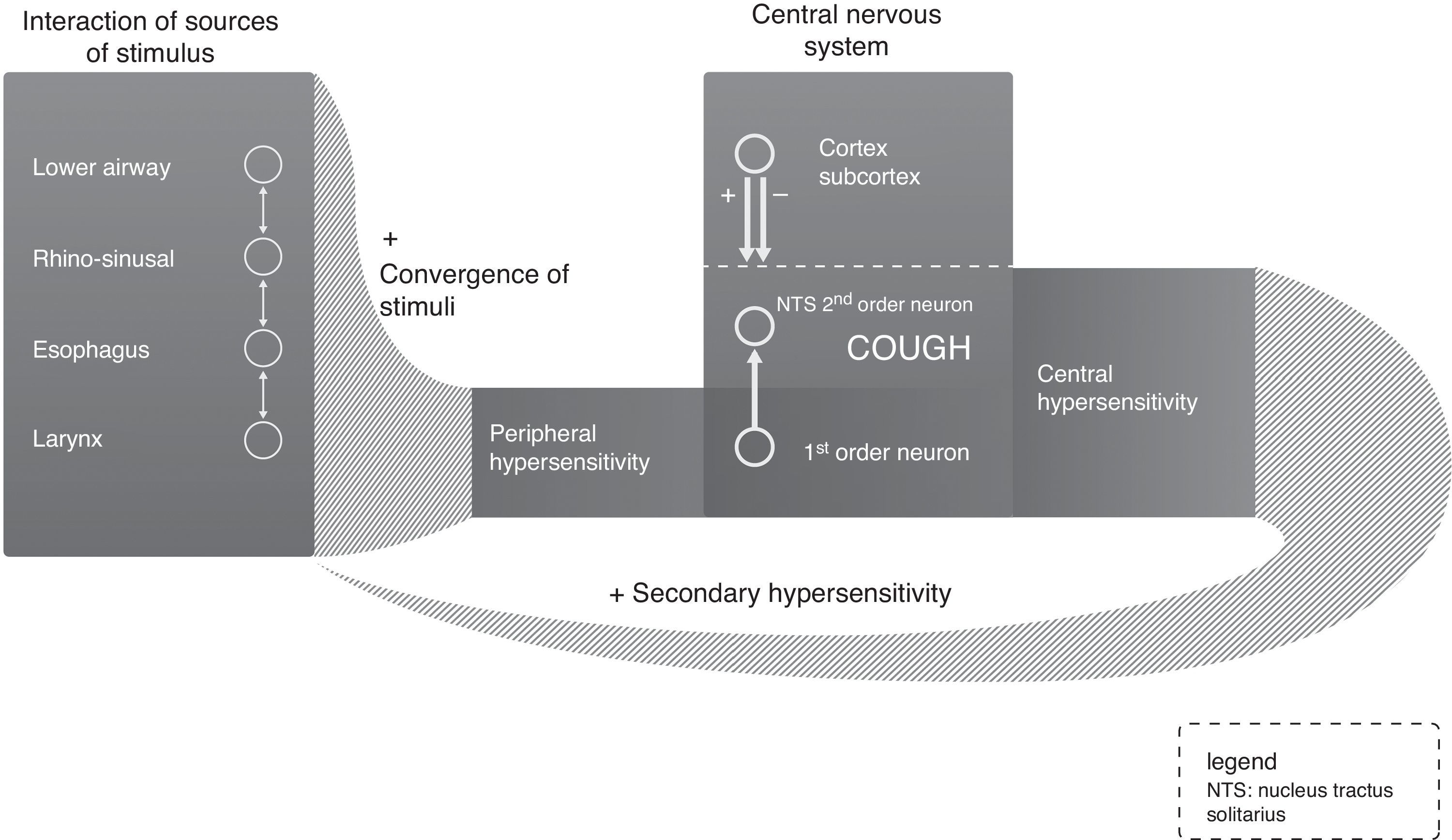 Chronic Cough | Archivos de Bronconeumología