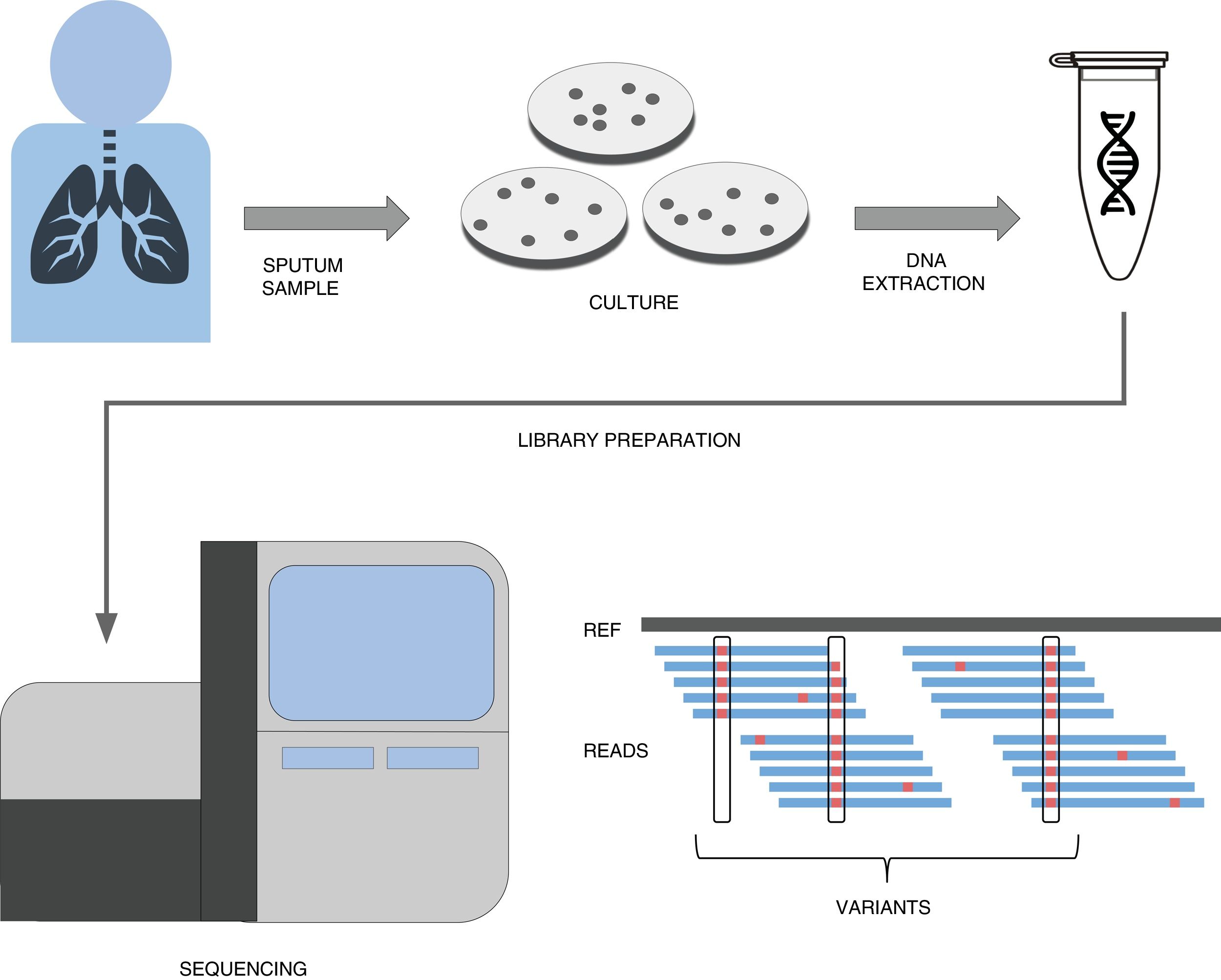 The Future of TB Resistance Diagnosis: The Essentials on Whole Genome ...