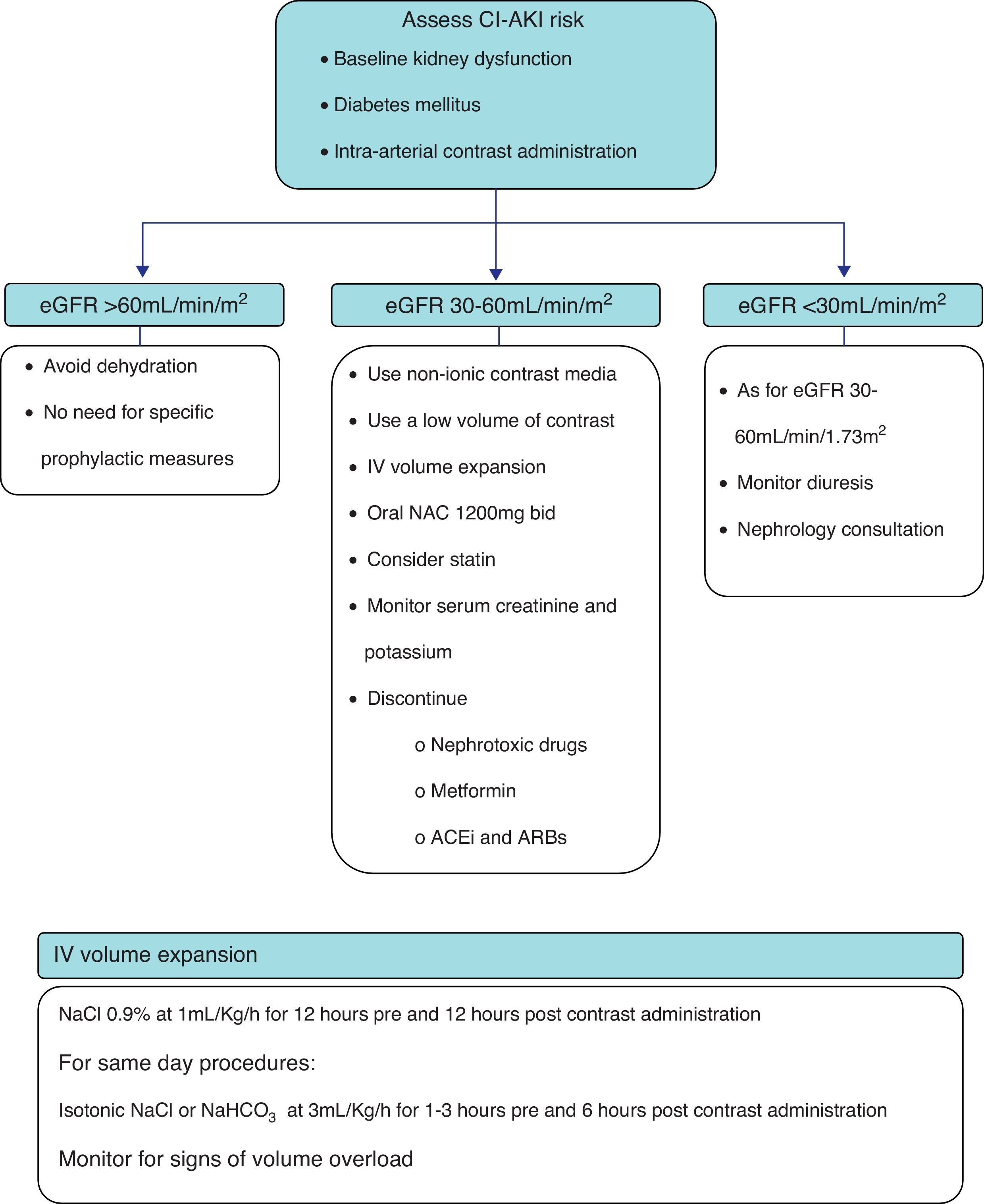 Contrast-induced acute kidney injury – A review focusing on ...