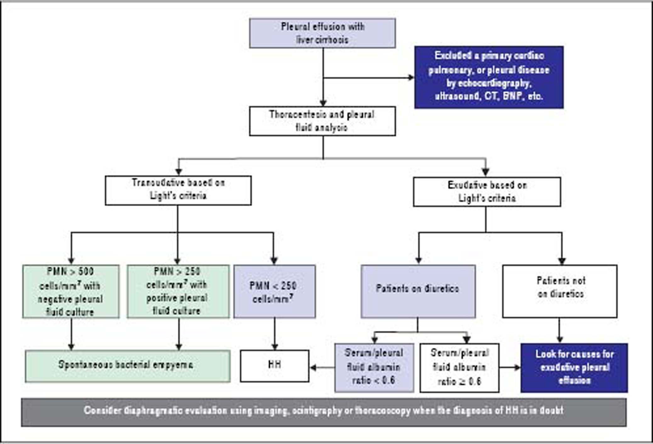 Hepatic Hydrothorax | Annals of Hepatology
