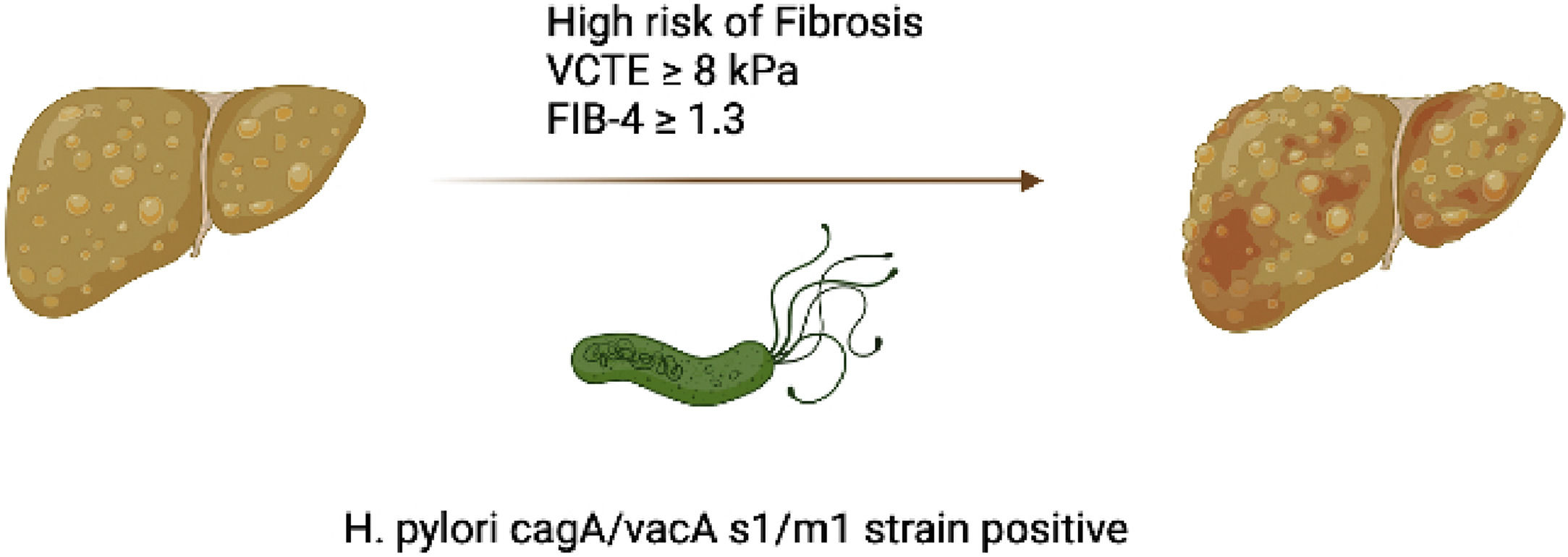 Helicobacter pylori cagA/vacAs1-m1 strain is associated with high risk ...