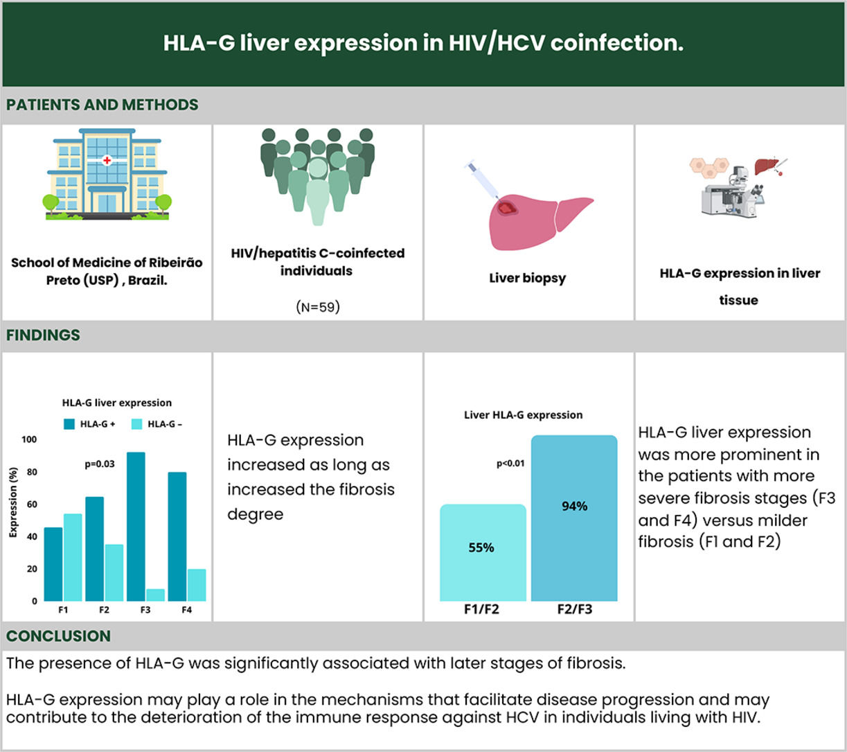 HLA-G liver expression in chronically HIV/hepatitis C-coinfected ...