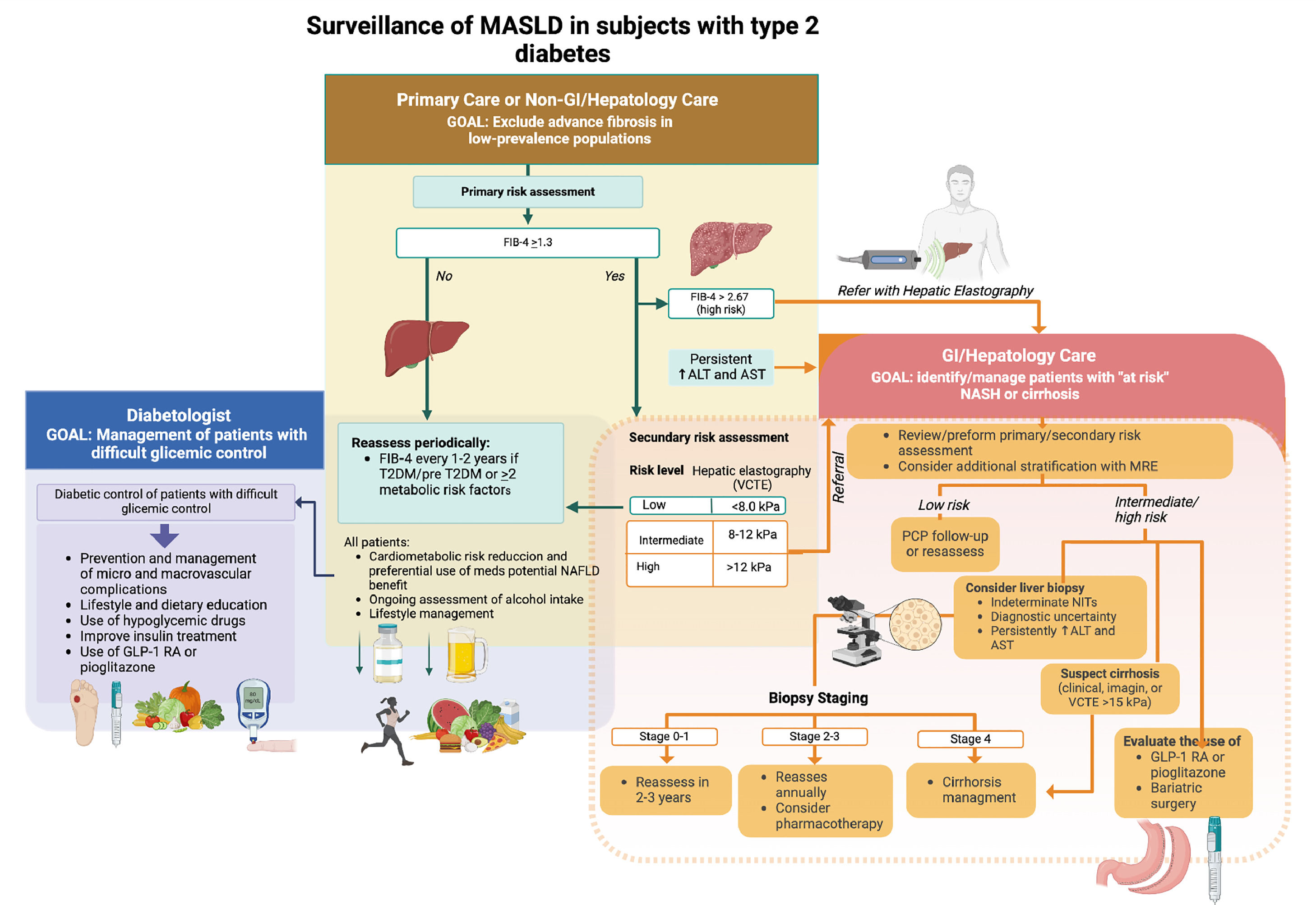 The Janus of a disease: Diabetes and metabolic dysfunction-associated ...
