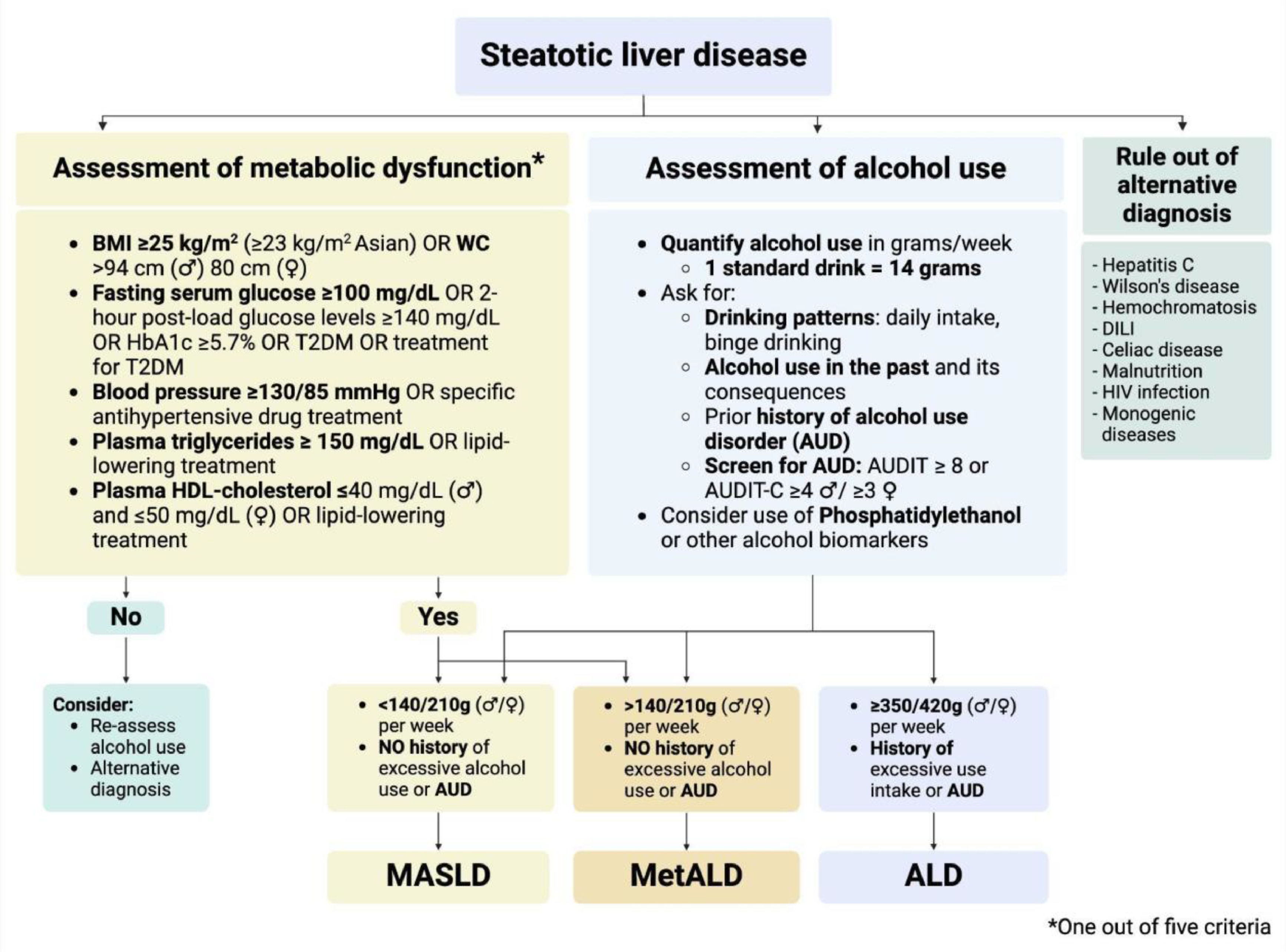 Updated recommendations for the management of metabolic dysfunction ...