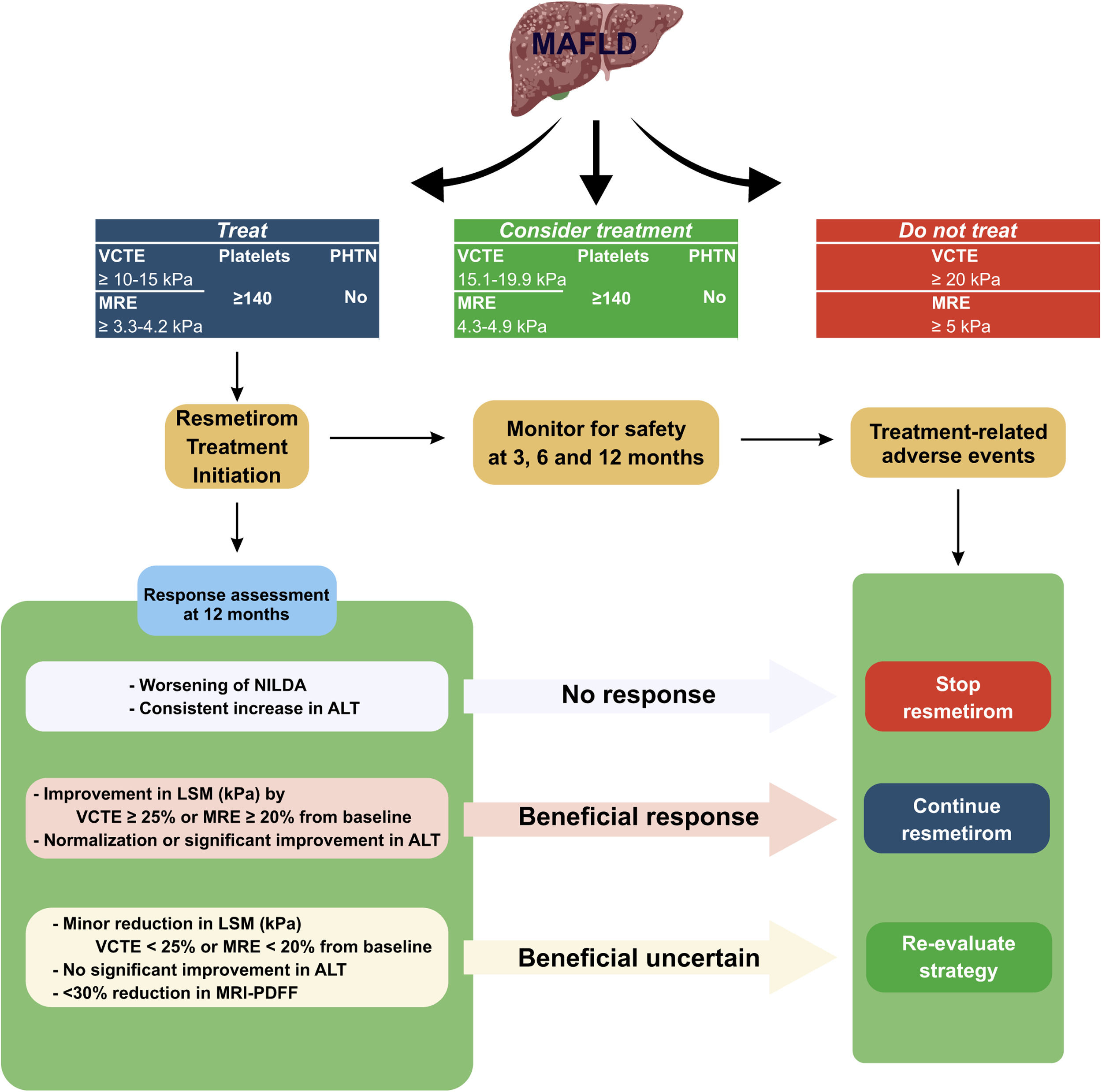 The African Middle East Association of Gastroenterology (AMAGE ...