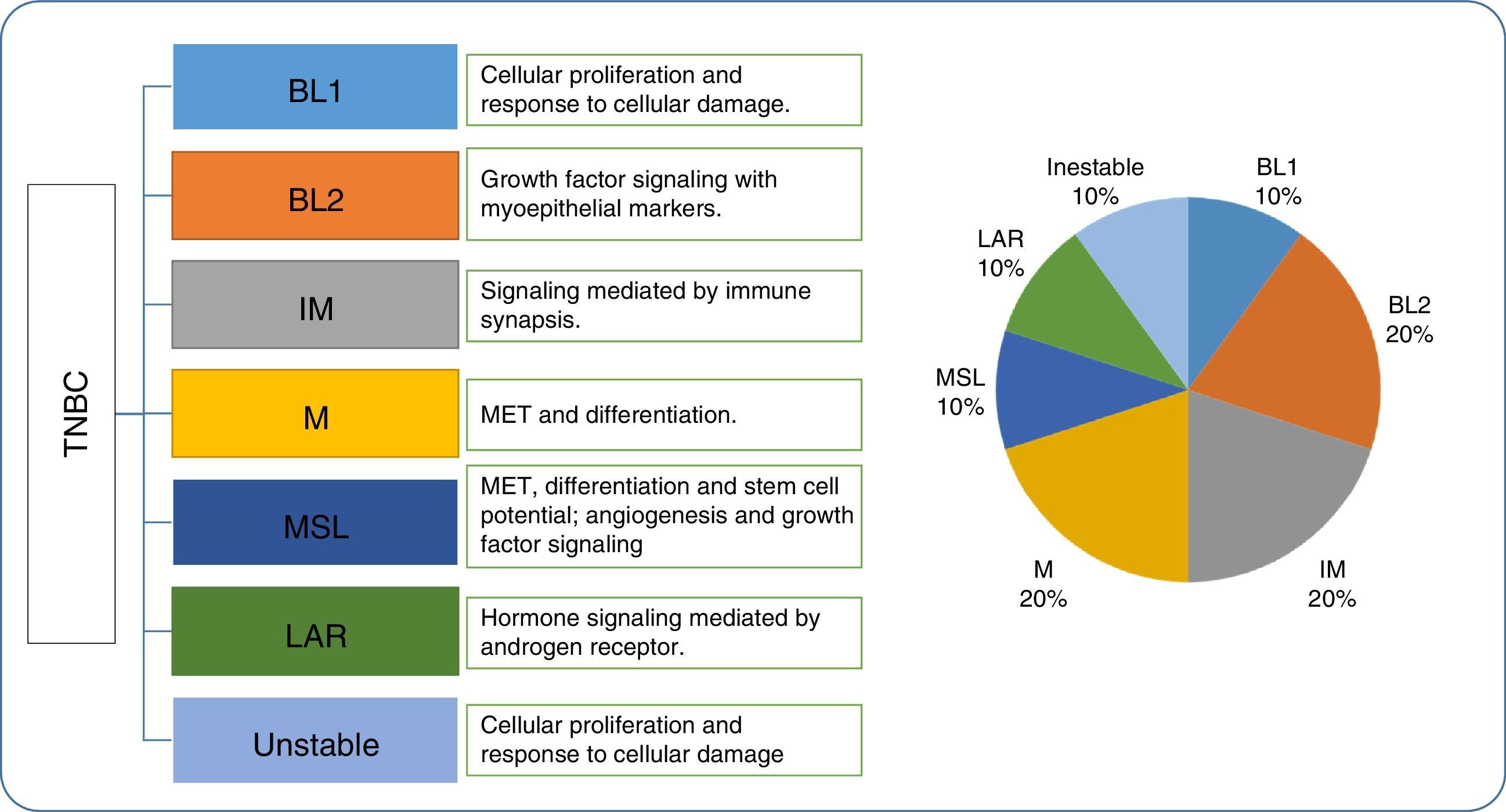 Triple negative breast cancer: Deciphering the biology and ...