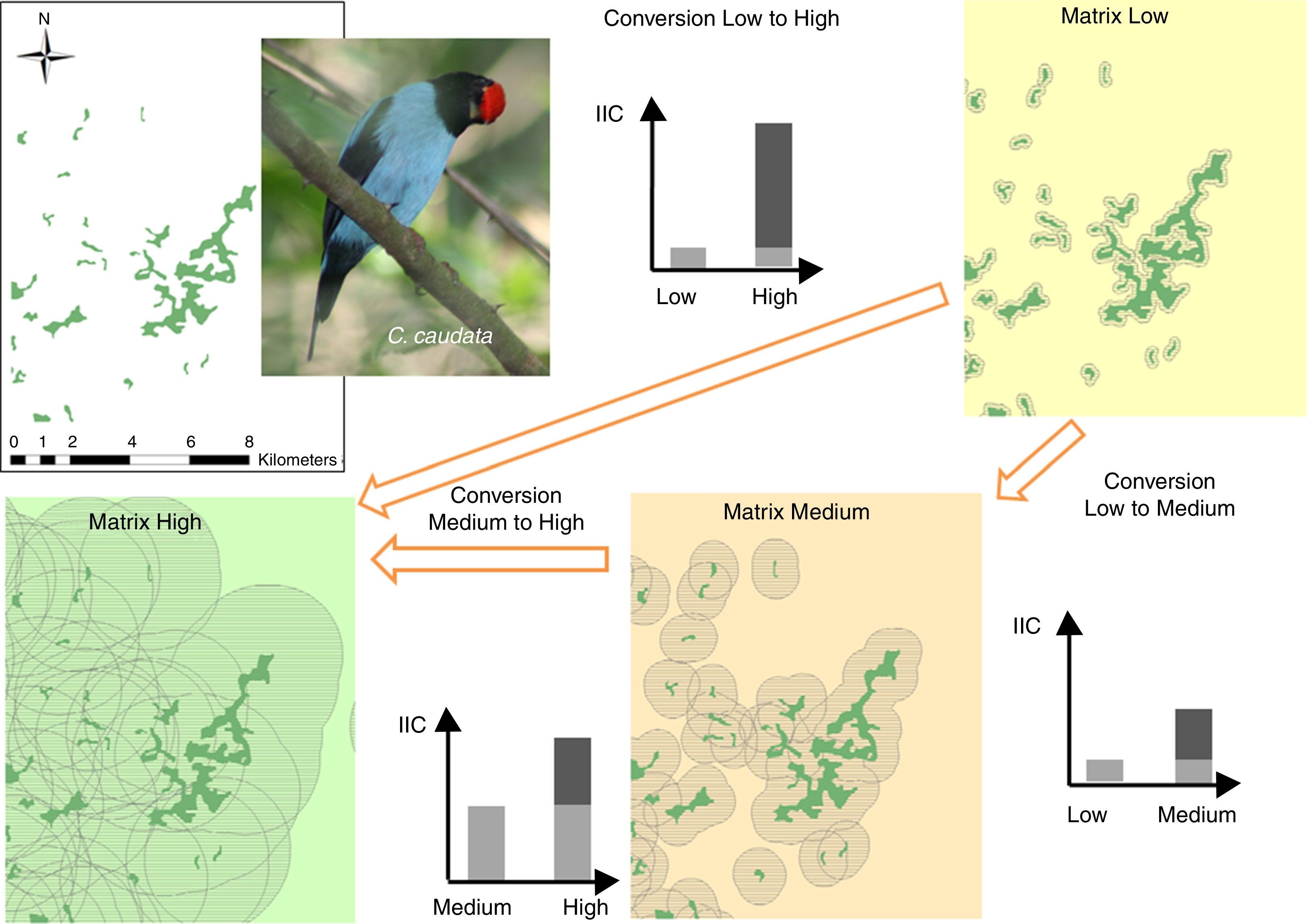 Where matrix quality most matters? Using connectivity models to assess ...
