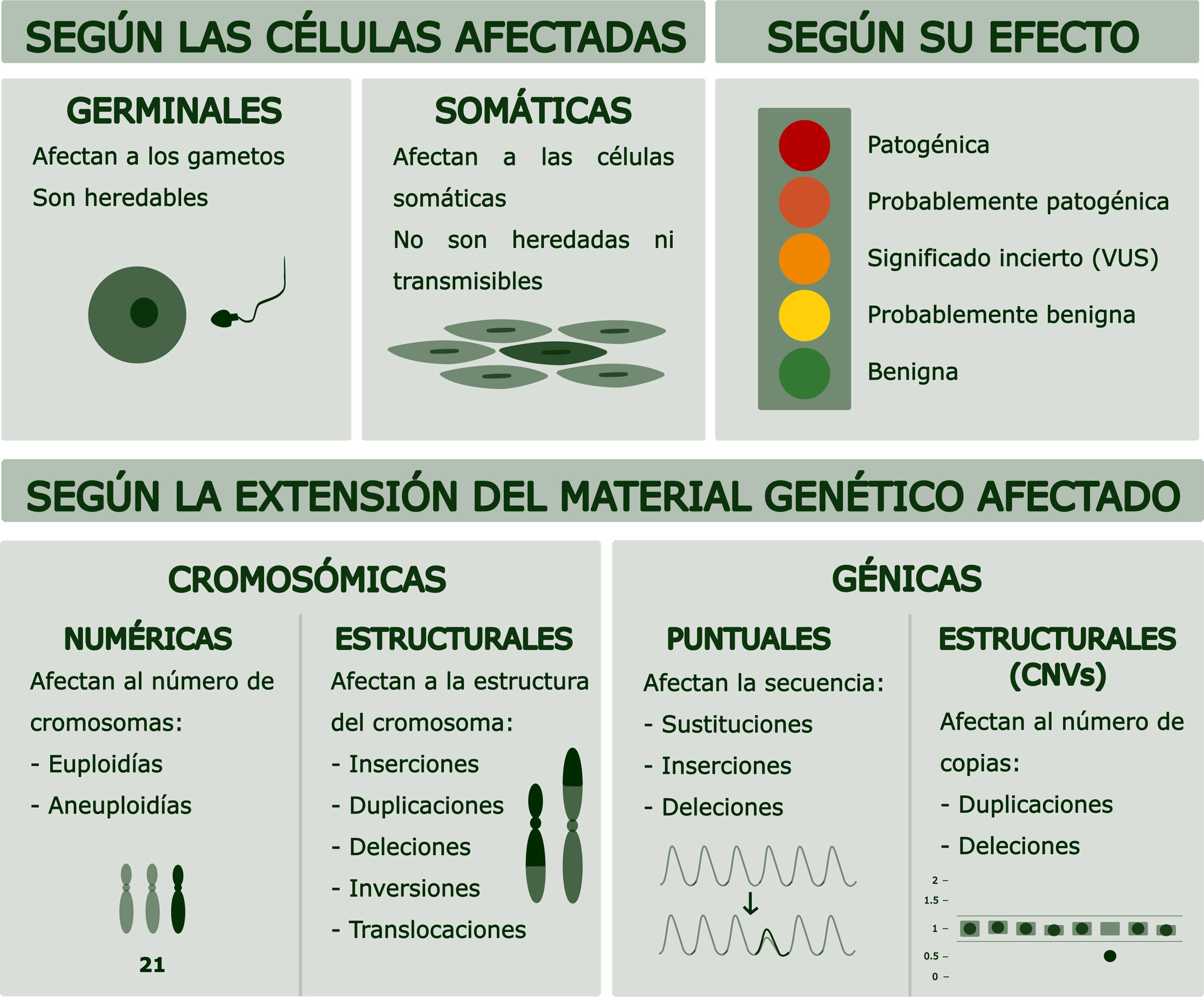 Asesoramiento genético en la era de la secuenciación masiva | Anales de ...