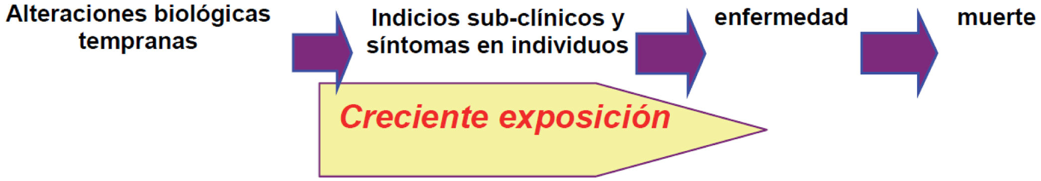 Desenredando el exposoma: hacia un modelo de Salud Planetaria | Anales ...