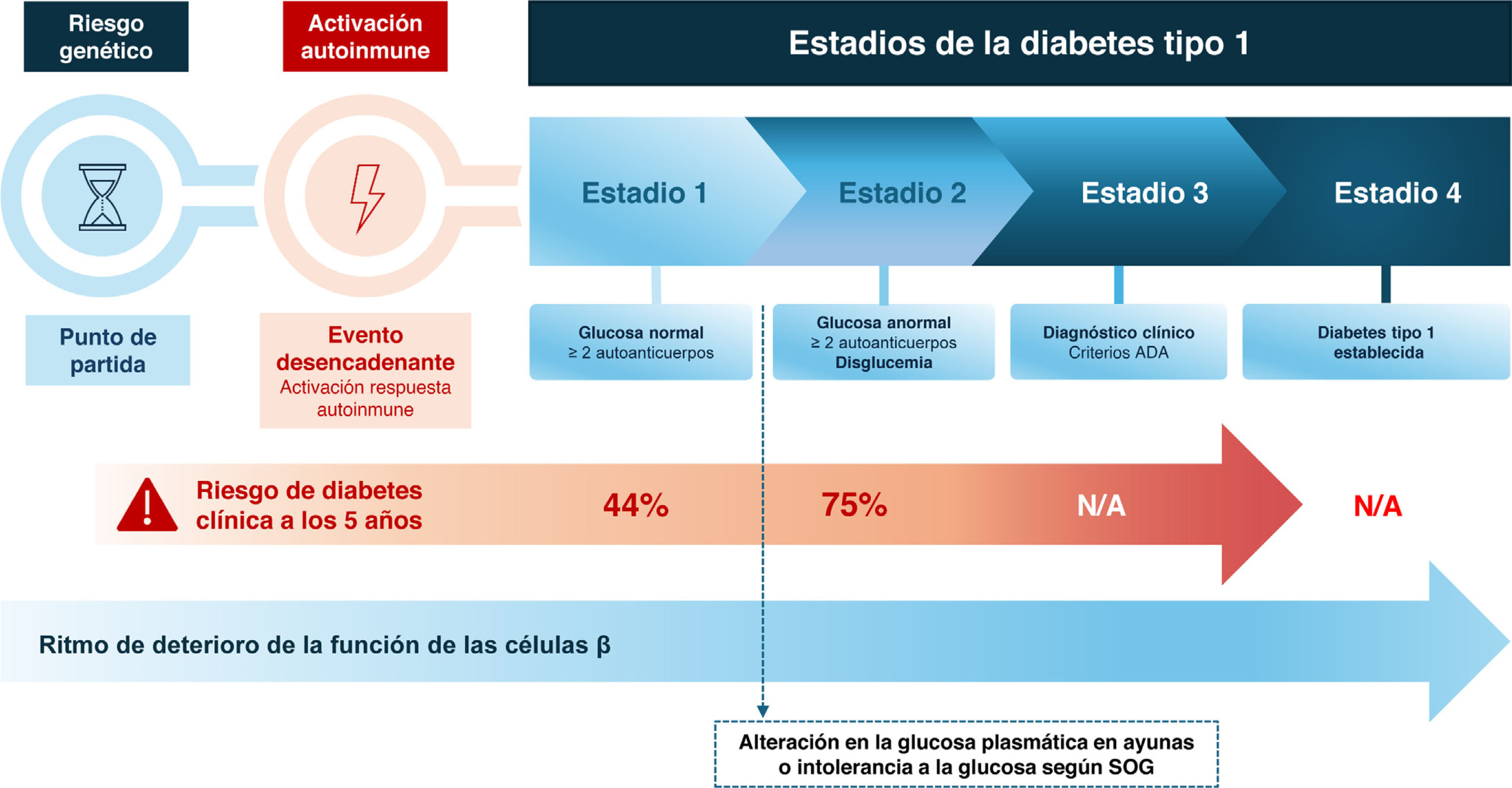 Resumen Ejecutivo Cribado Estadificaci n Y Seguimiento De La Diabetes Resumen Ejecutivo Cribado Estadificaci n Y Seguimiento De La Diabetes