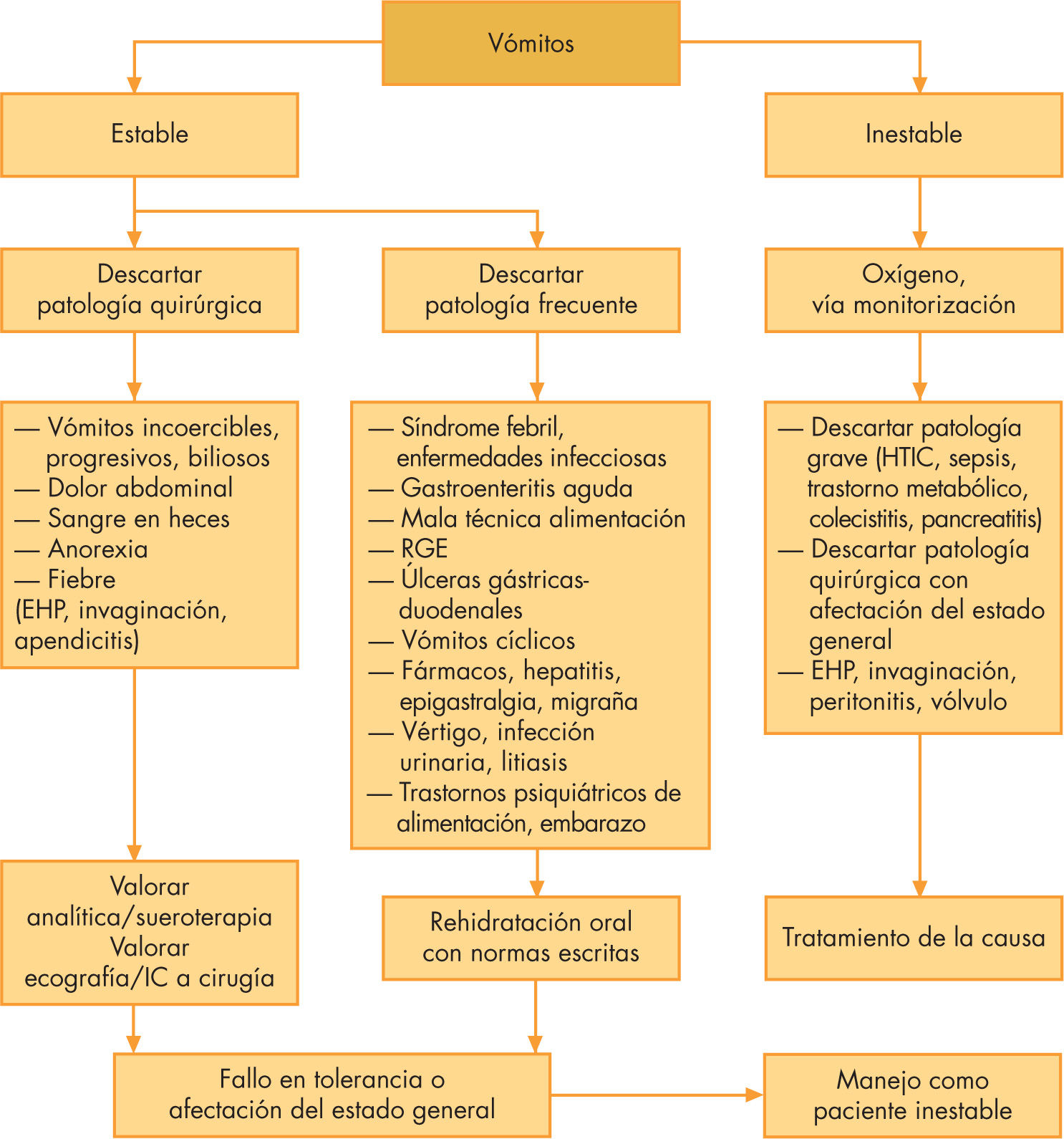 Vómitos Anales De Pediatría Continuada