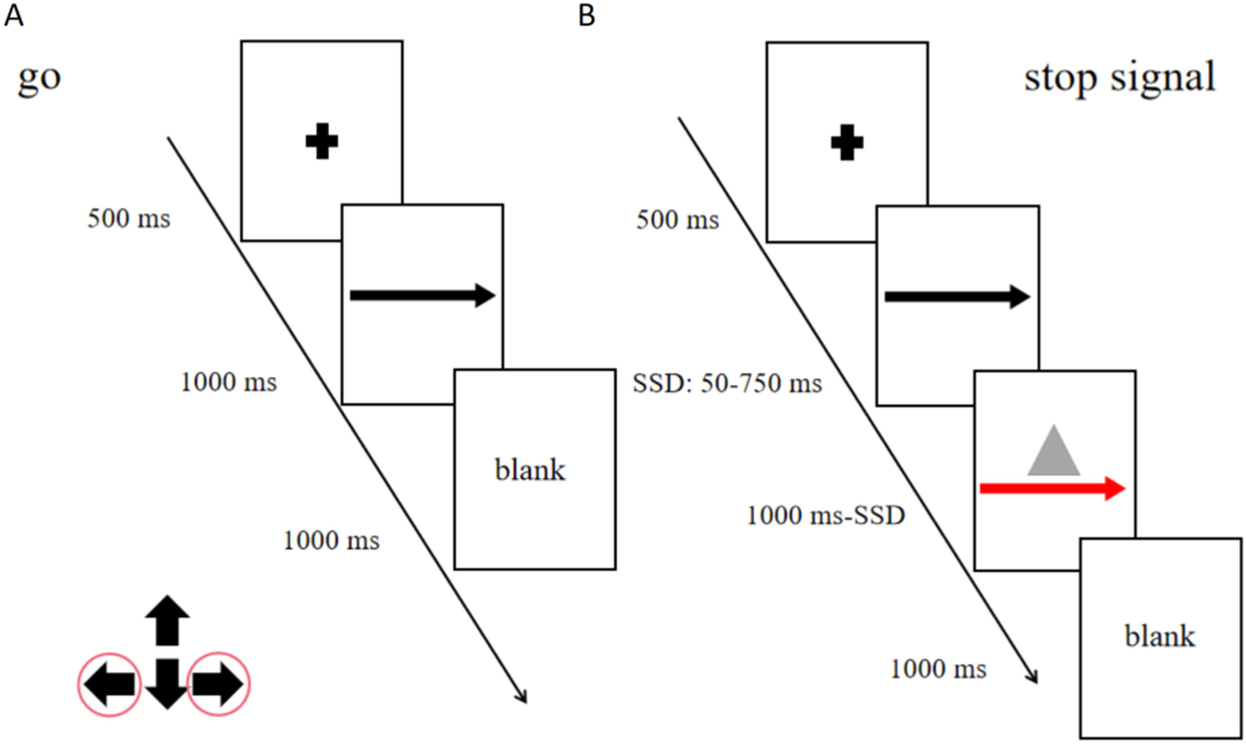 Table tennis experience enhances motor control in older adults ...