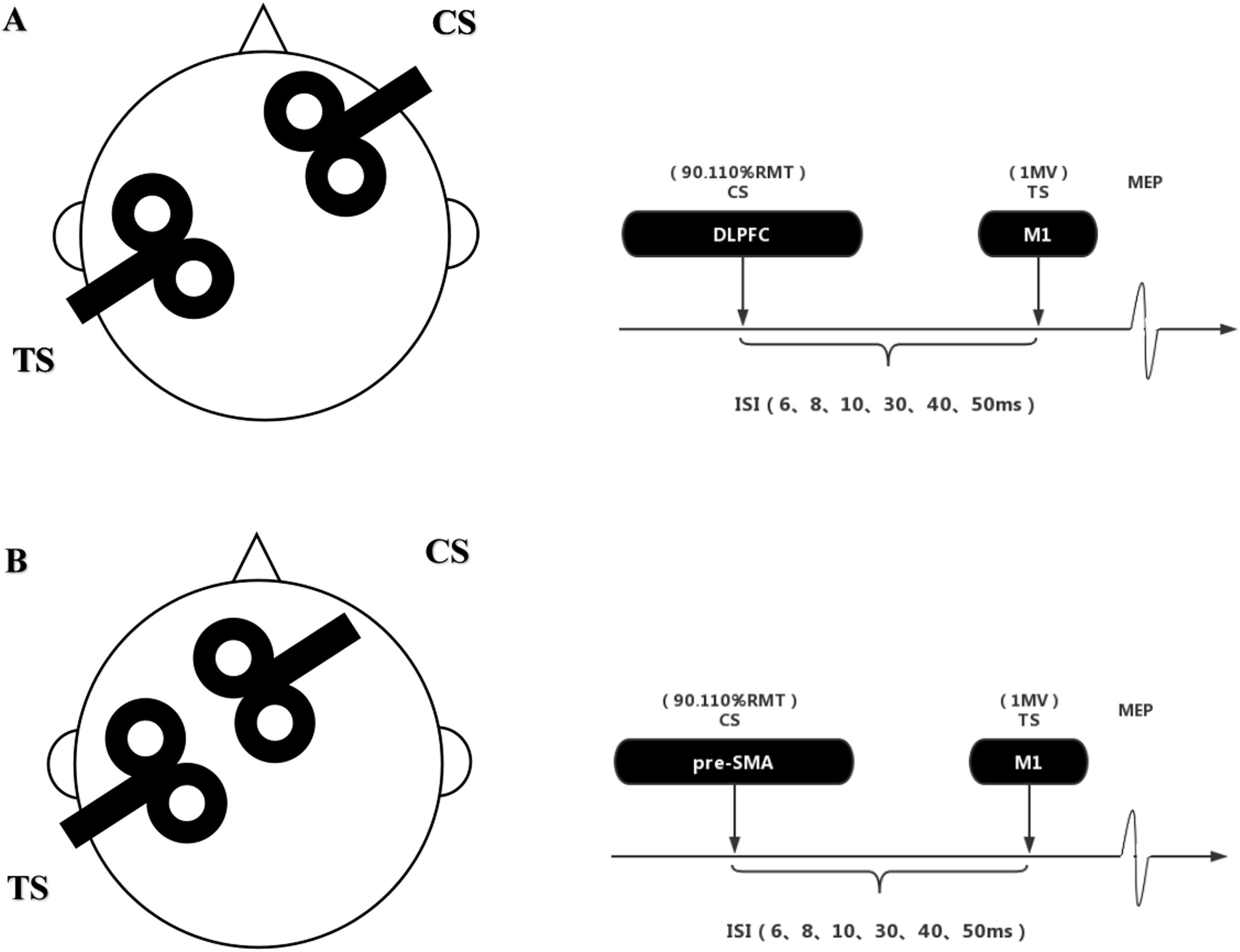 Table tennis experience enhances motor control in older adults ...