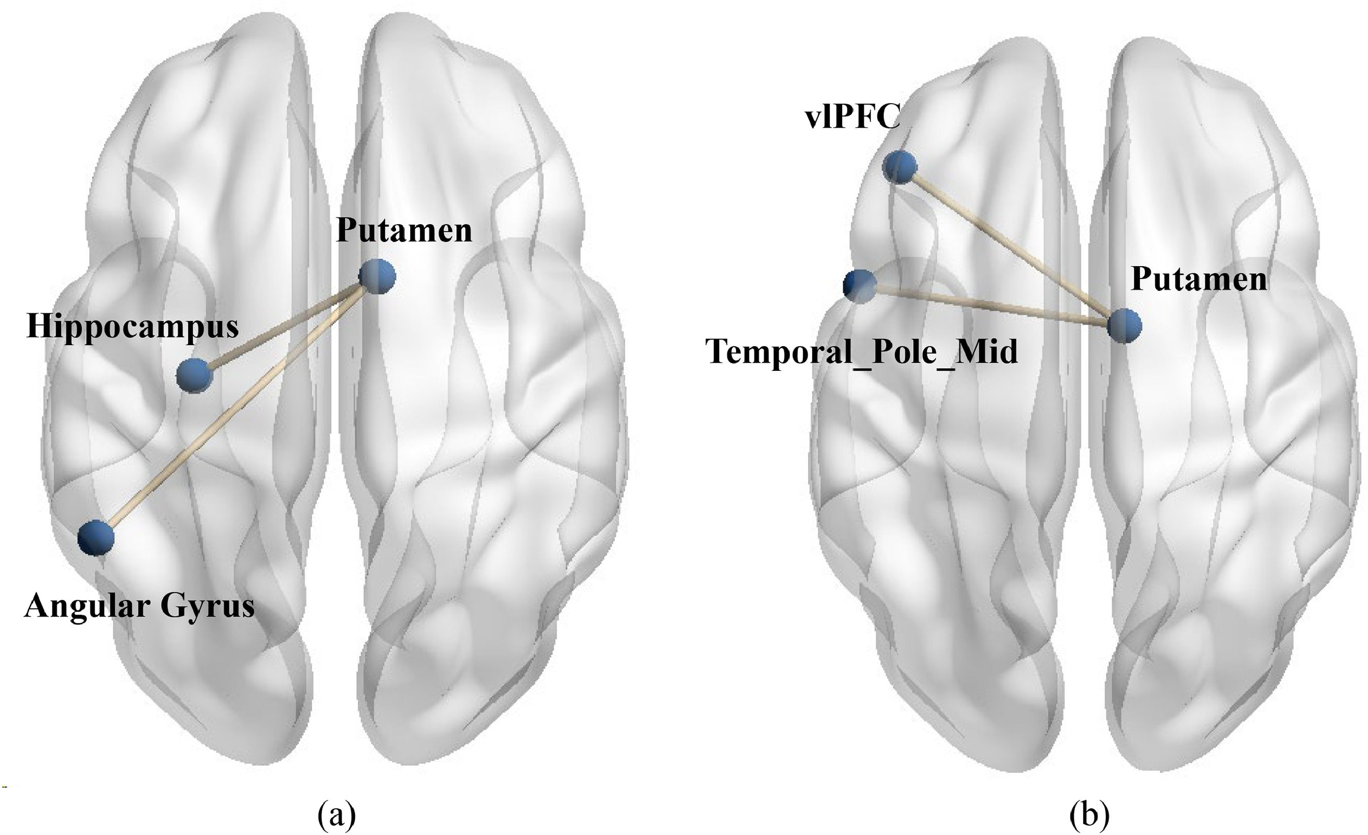 Impact of social reward on stress circuit function and regulation: Path ...