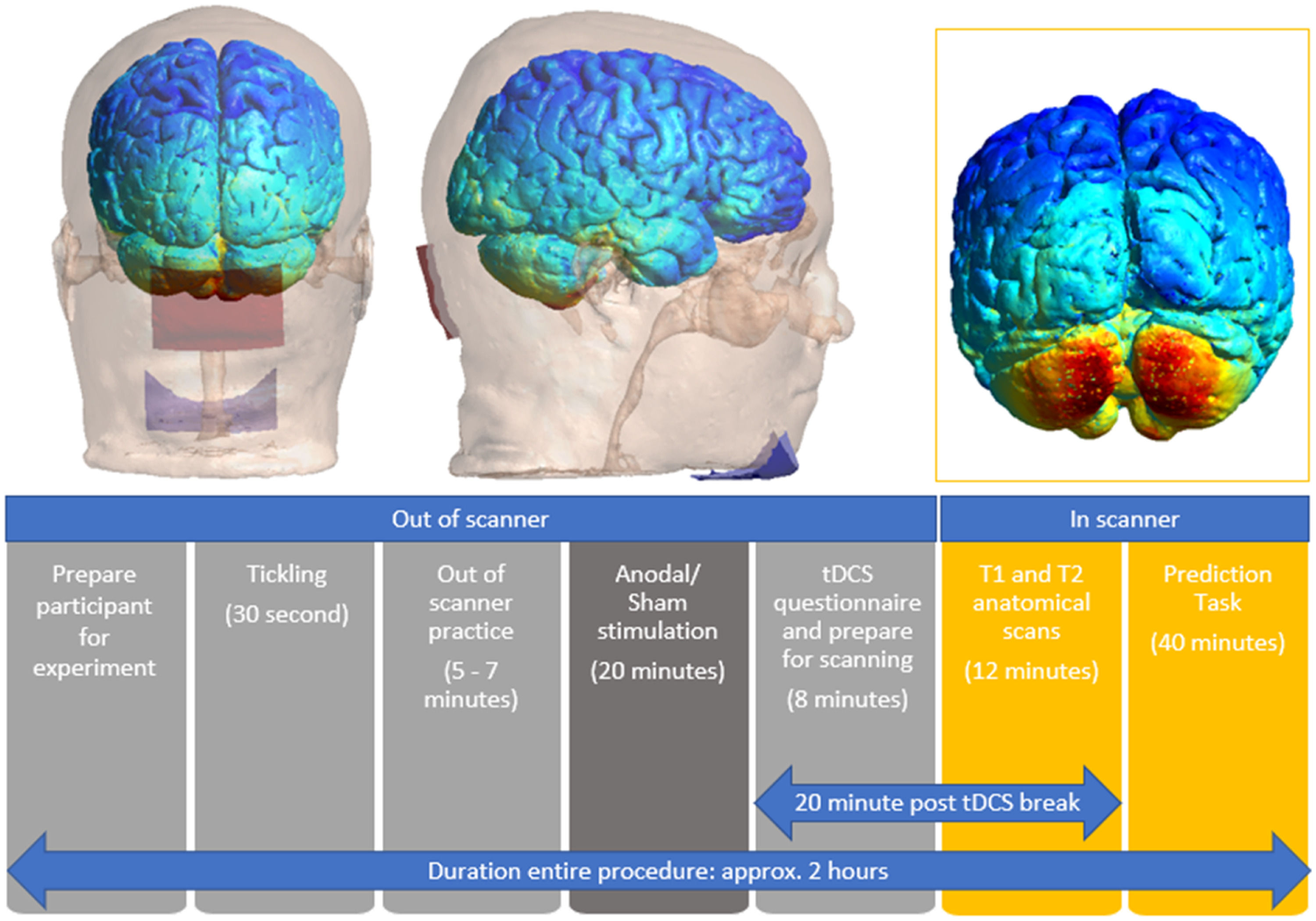 Exciting the social butterfly: Anodal cerebellar transcranial direct ...